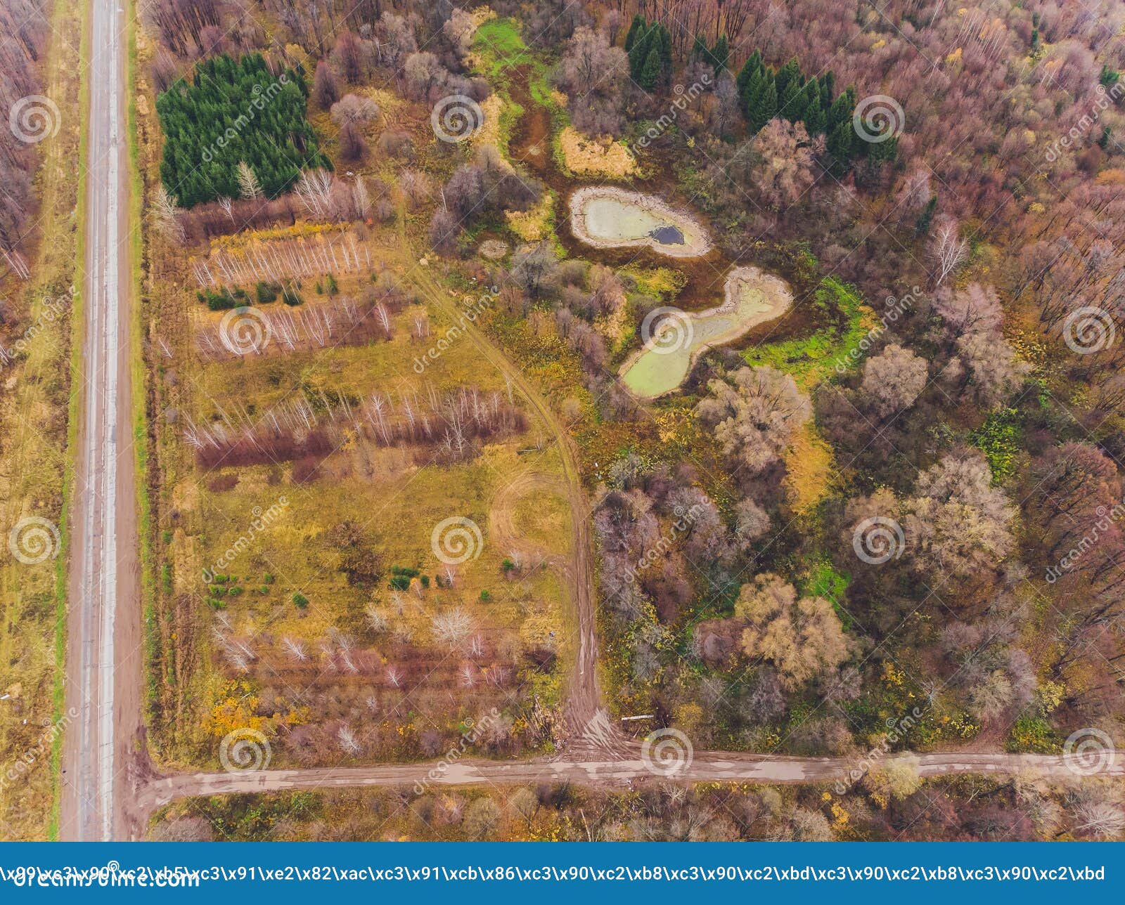 Contamination of a Small River in the Forest. Stock Photo - Image of ...