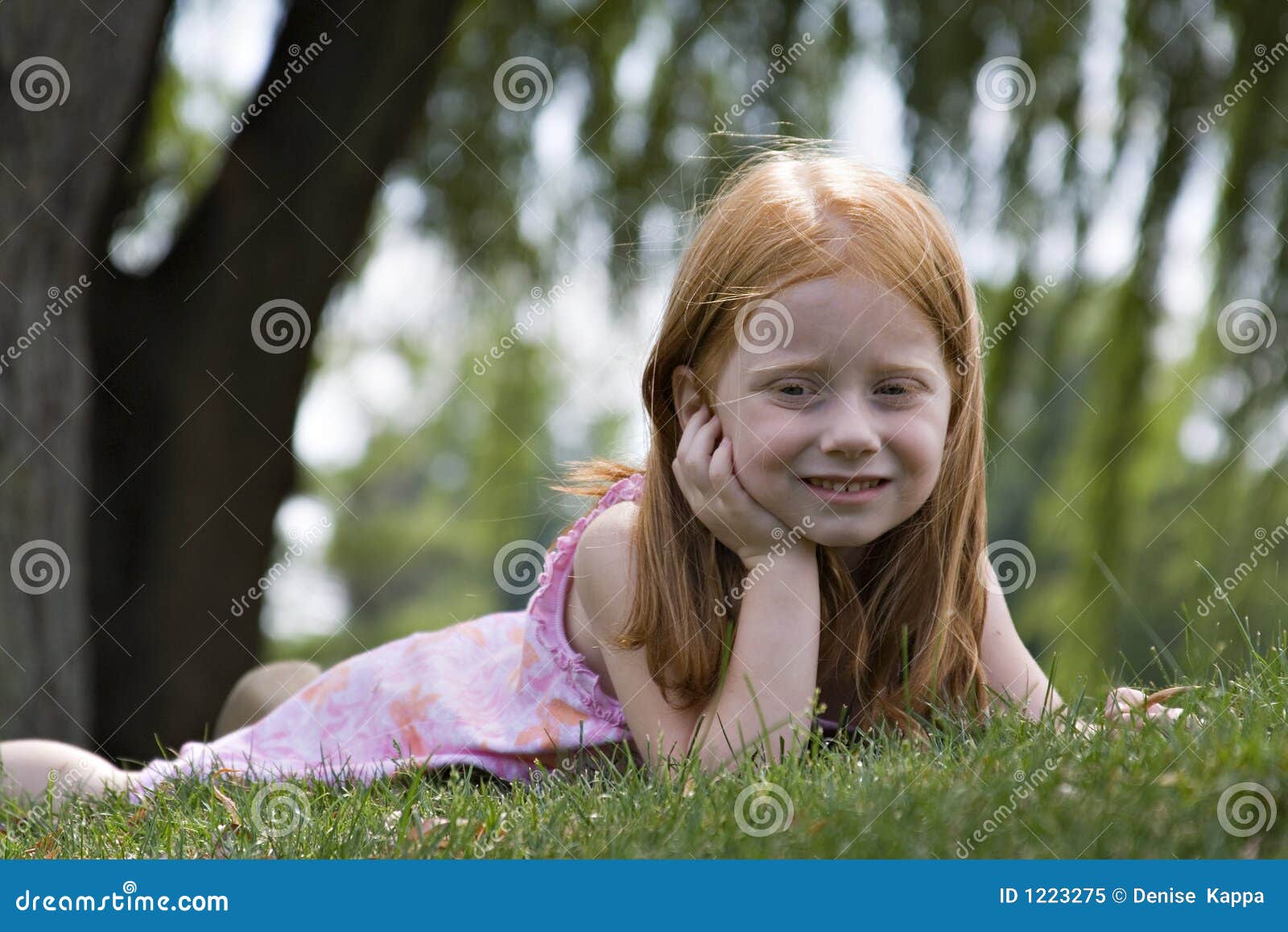 Contemplate Life stock image. Image of tree, blown, portrait - 1223275