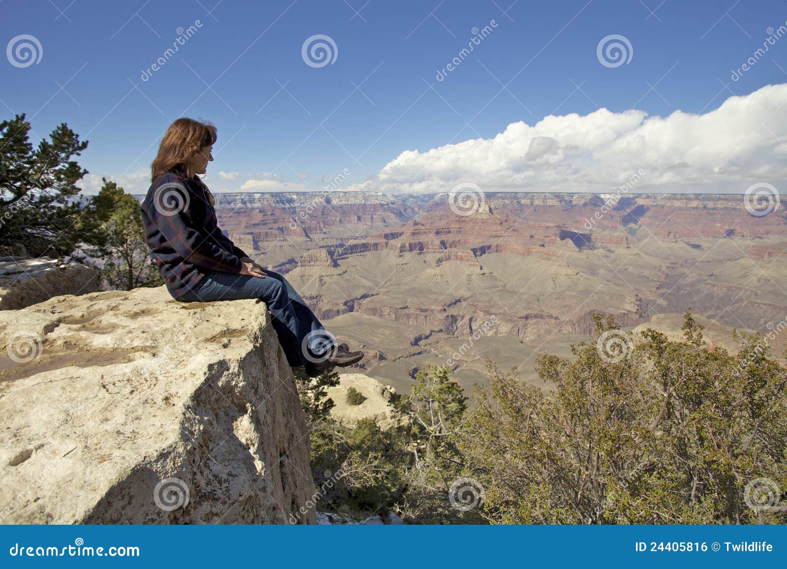 Contemplating the Grand Canyon Stock Photo - Image of geological ...
