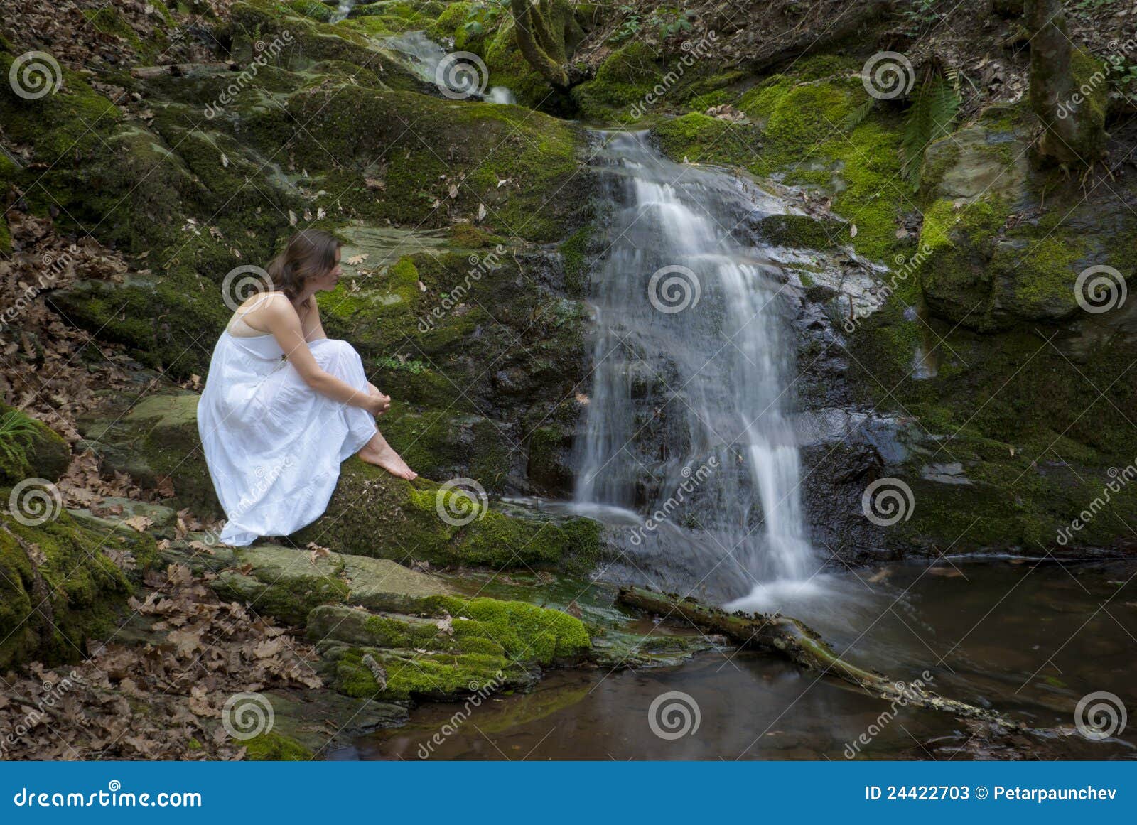 Contemplating Nature stock image. Image of green, environment - 24422703