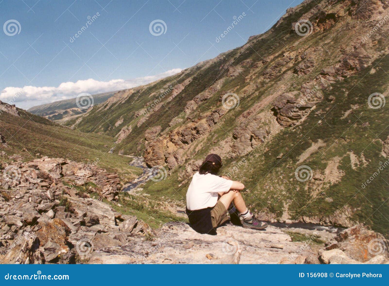 Contemplation Picture. Image: 156908