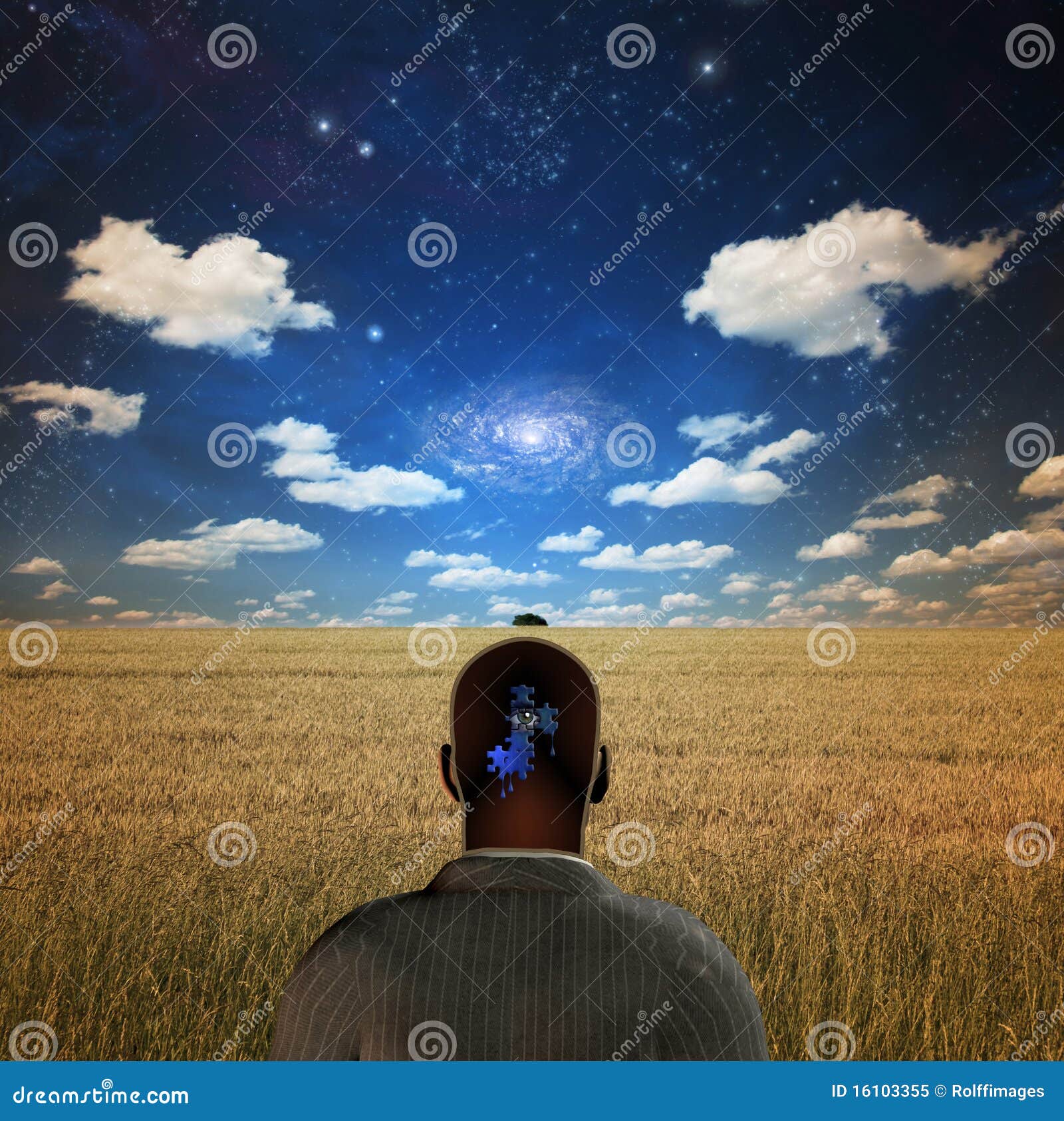 Contemplation Of Man Royalty Free Stock Photo - Image: 16103355