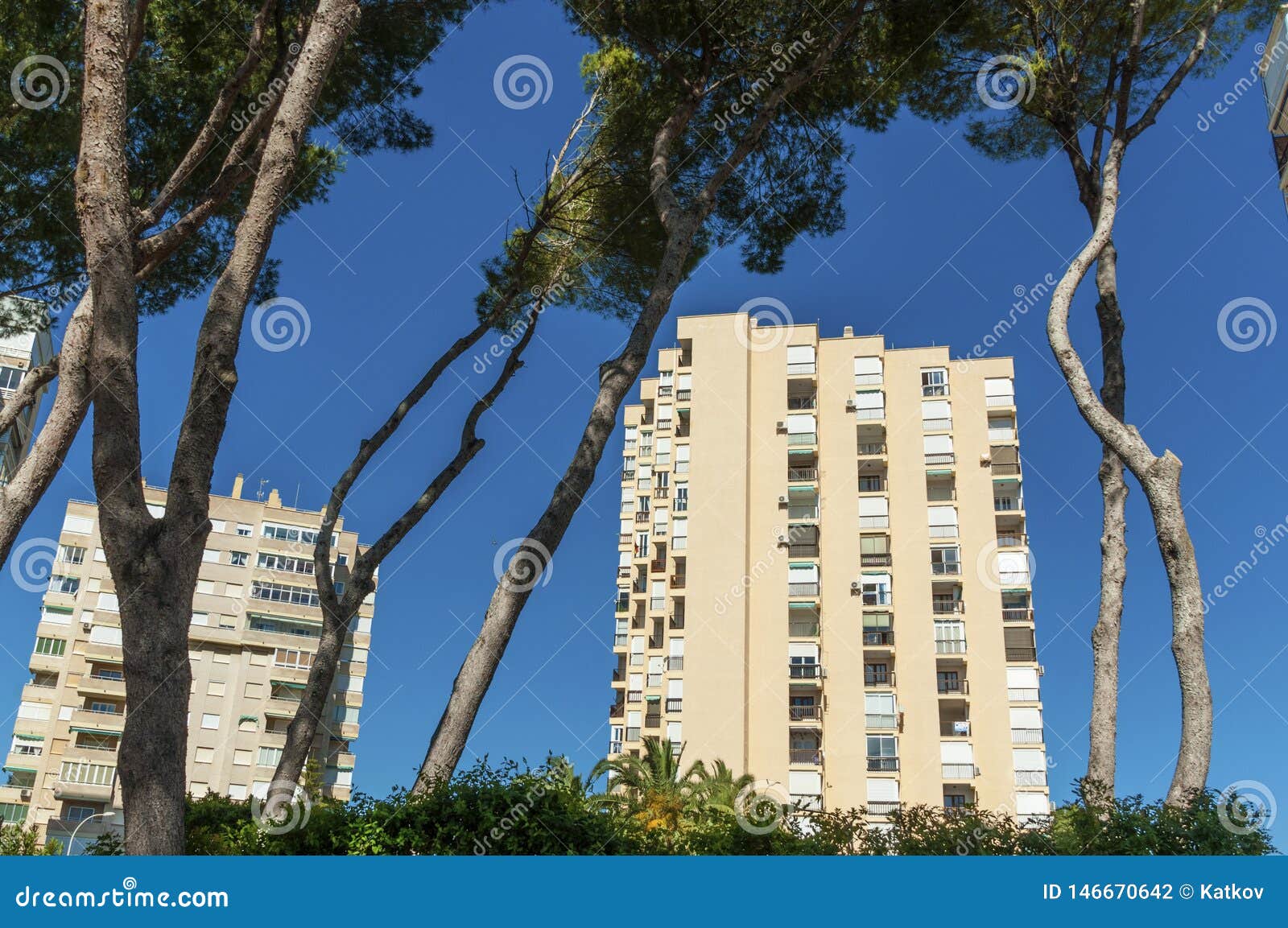 Contemporary Architecture Houses with Pine Trees Stock Photo - Image of ...