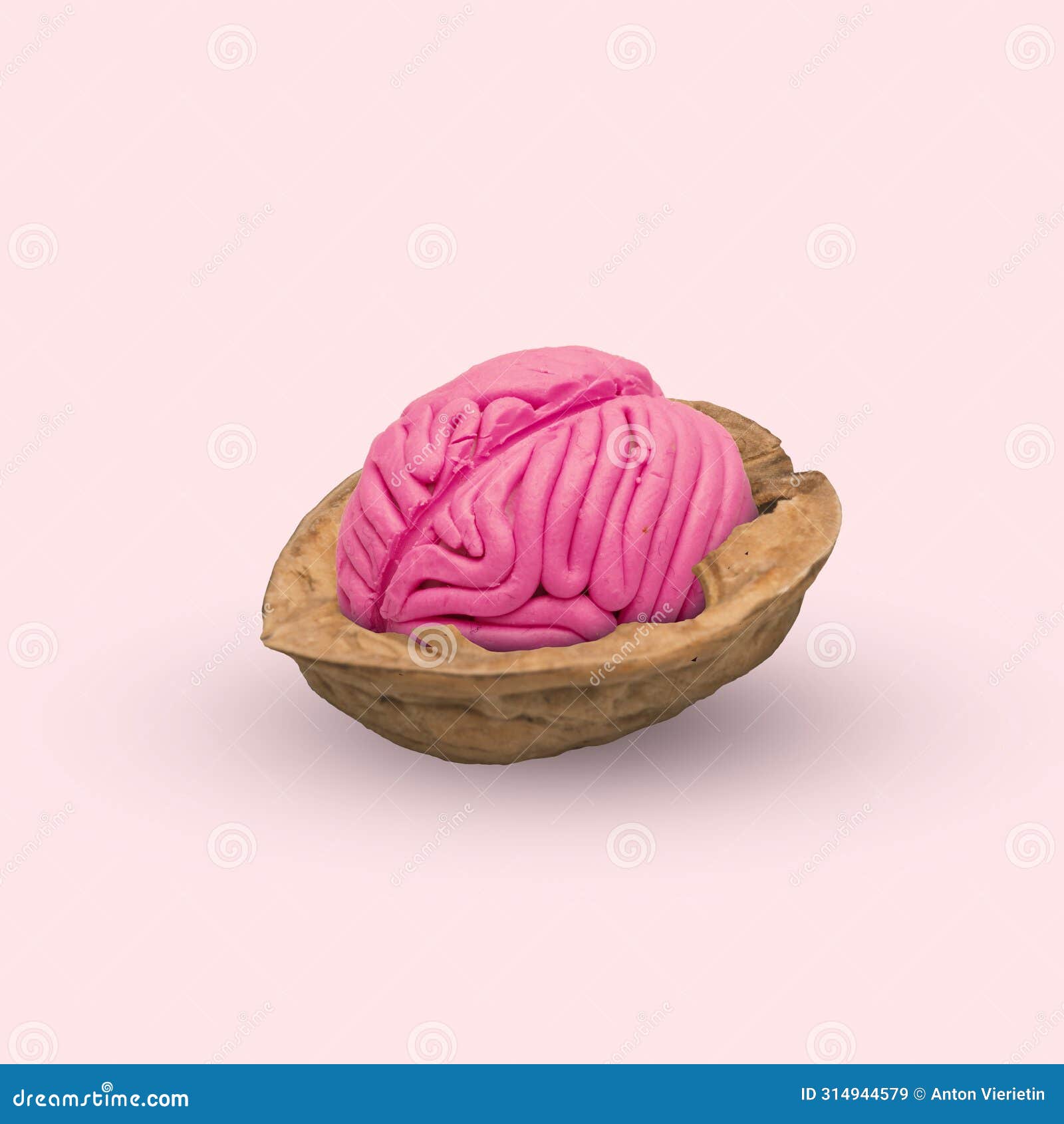 Contemporary Art Collage. Human Brains in Nutshell Stock Illustration ...