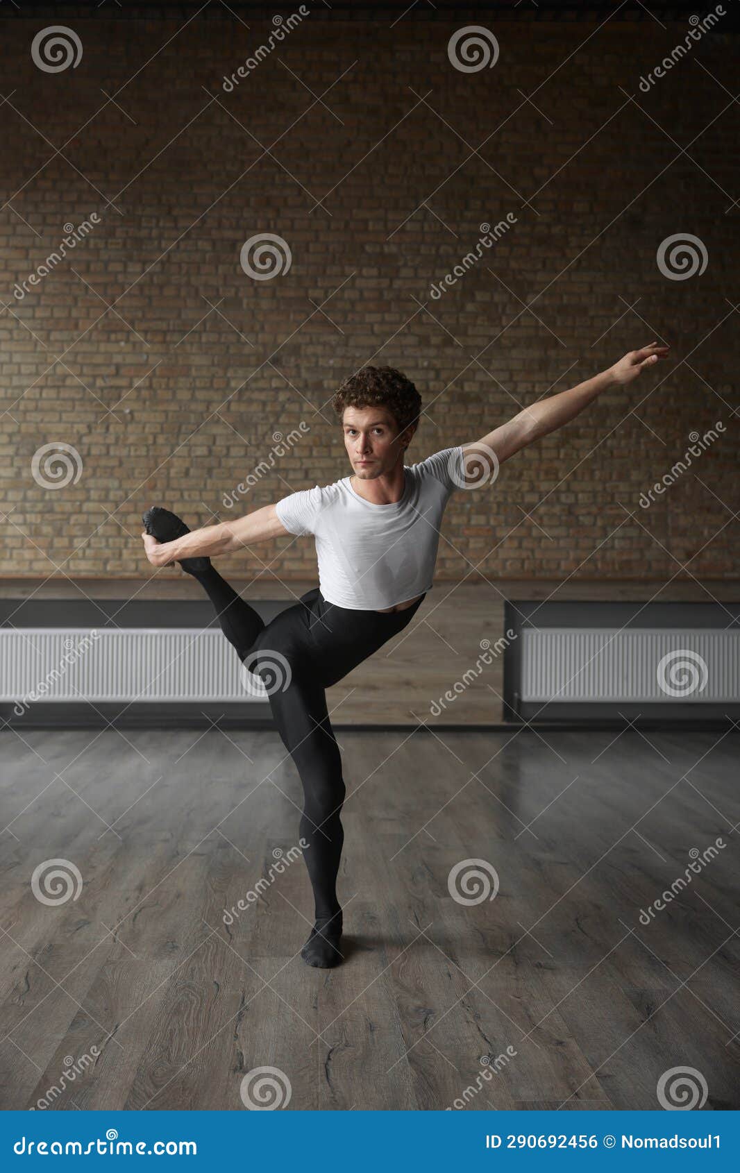 Contemporary Ballet Male Dancer Posing for Camera Performing Body ...