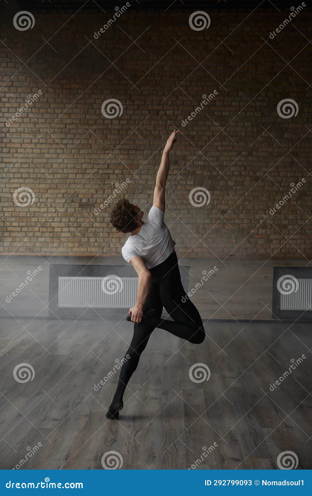 Contemporary Ballet Male Dancer Posing for Camera Performing Body ...