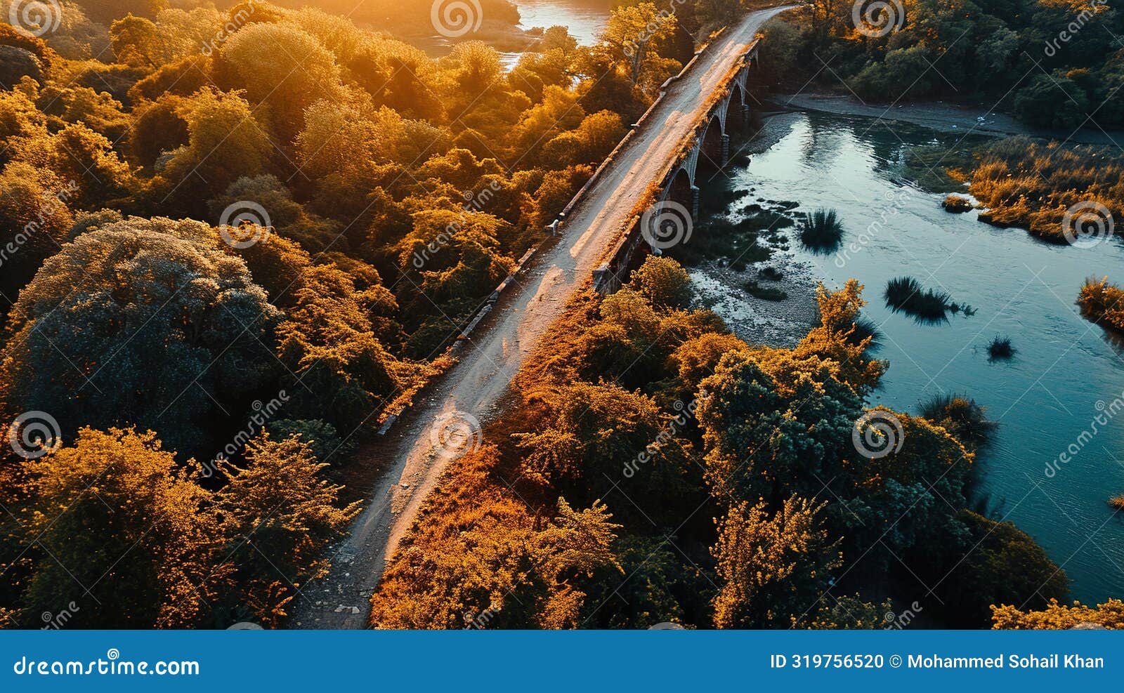 Contemporary Bridge on Ocean Forest Front Aerial View Landscape ...