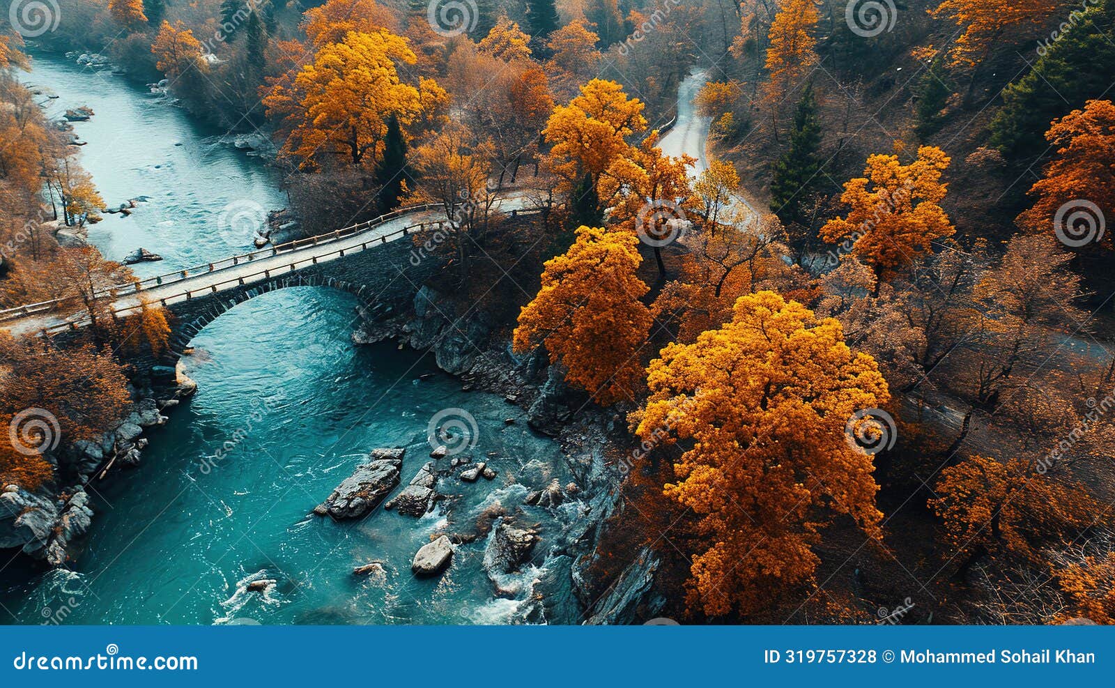 Contemporary Bridge on Ocean Forest Front Aerial View Landscape ...