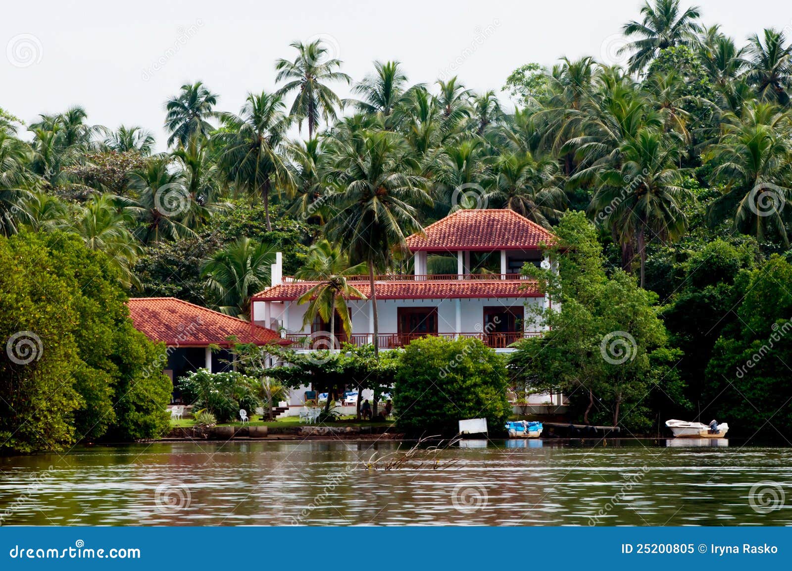 Contemporary Building in Jungle Stock Image - Image of native, building ...