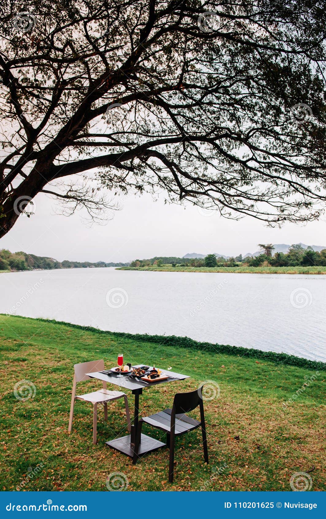 Contemporary Dinner Table Under Big Tree in Park by the River Stock ...