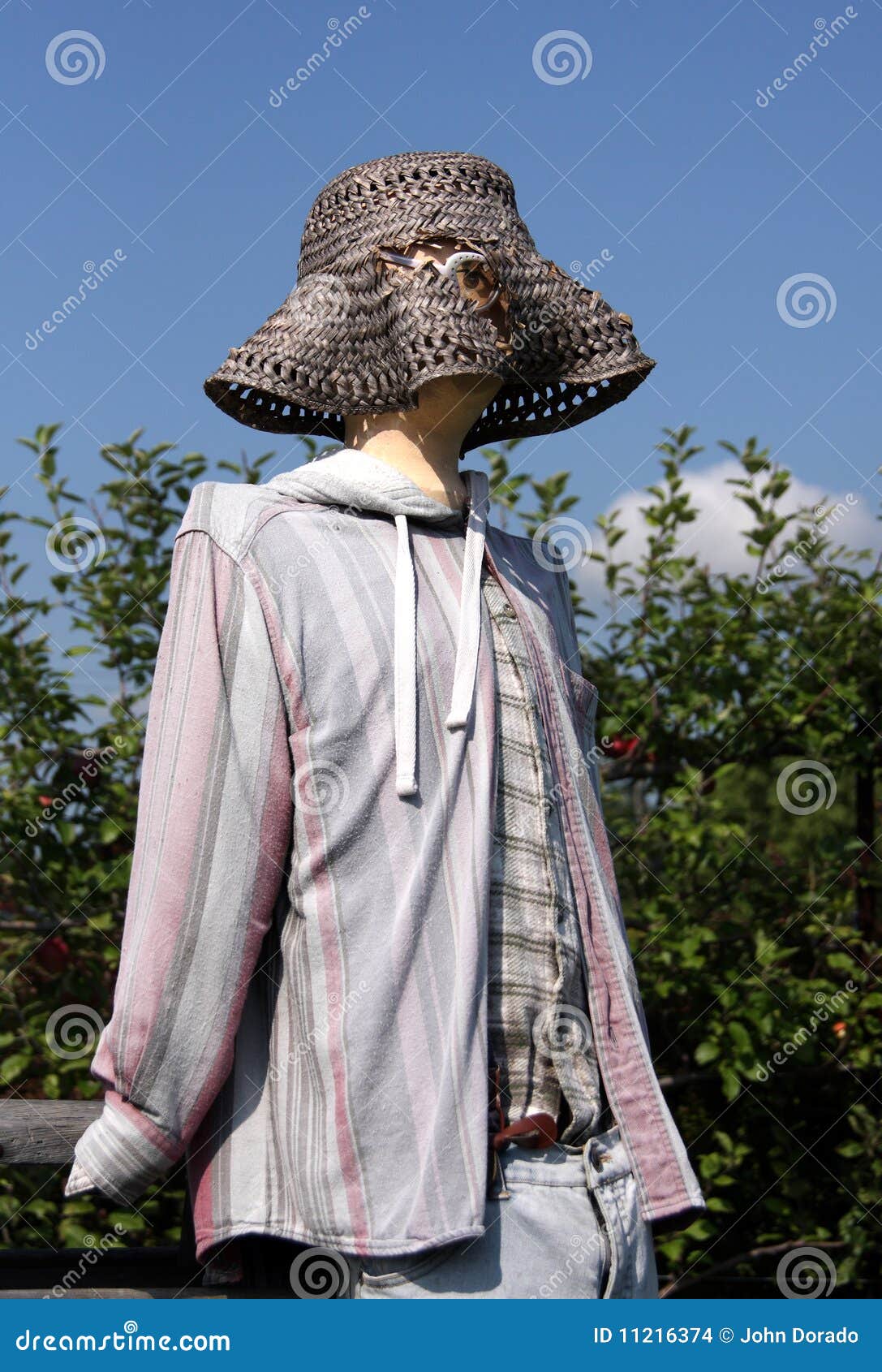 Contemporary scarecrow stock photo. Image of contemporary - 11216374