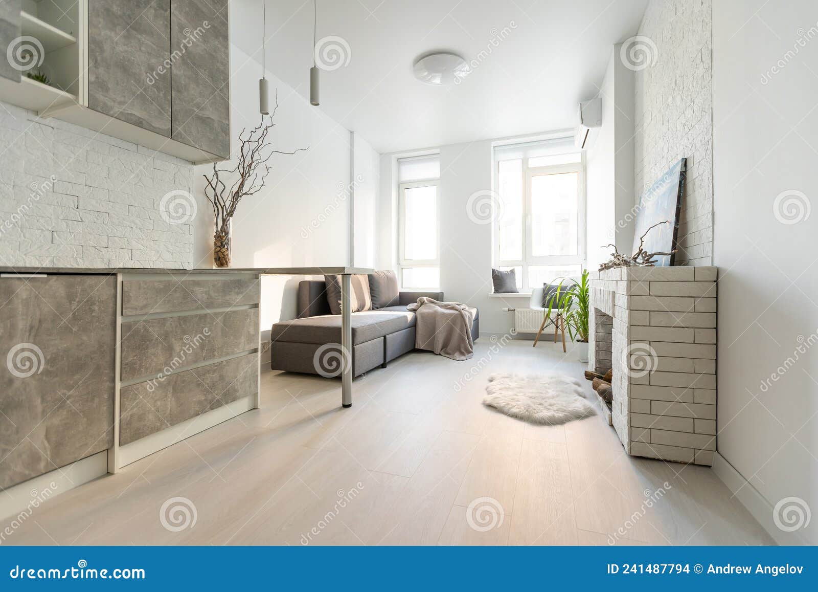 Contemporary Studio Apartment with Kitchen Open To Living Room. Stock ...