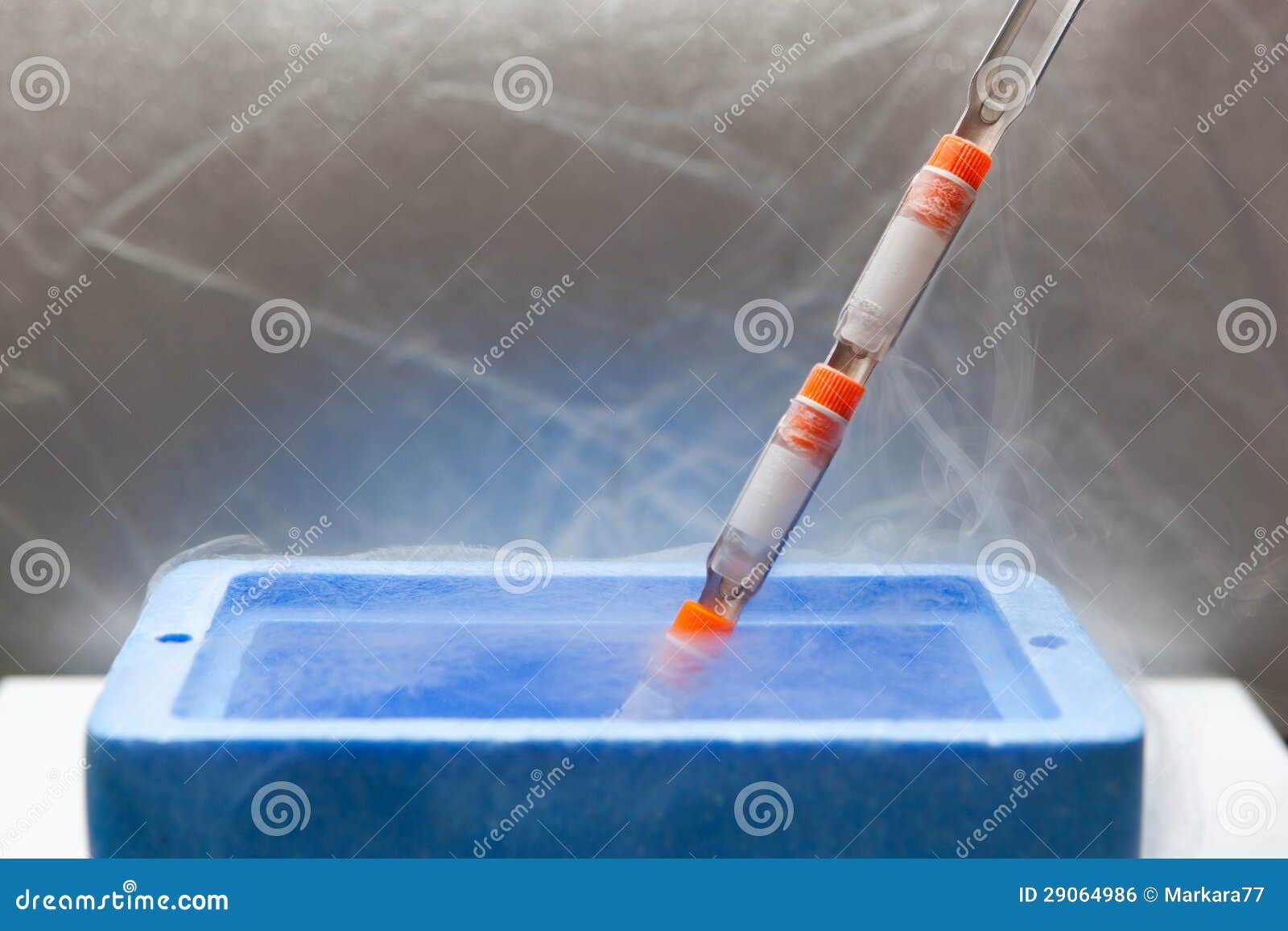 Conteneur Avec De L'azote Liquide Photo stock - Image du condensé, bleu ...