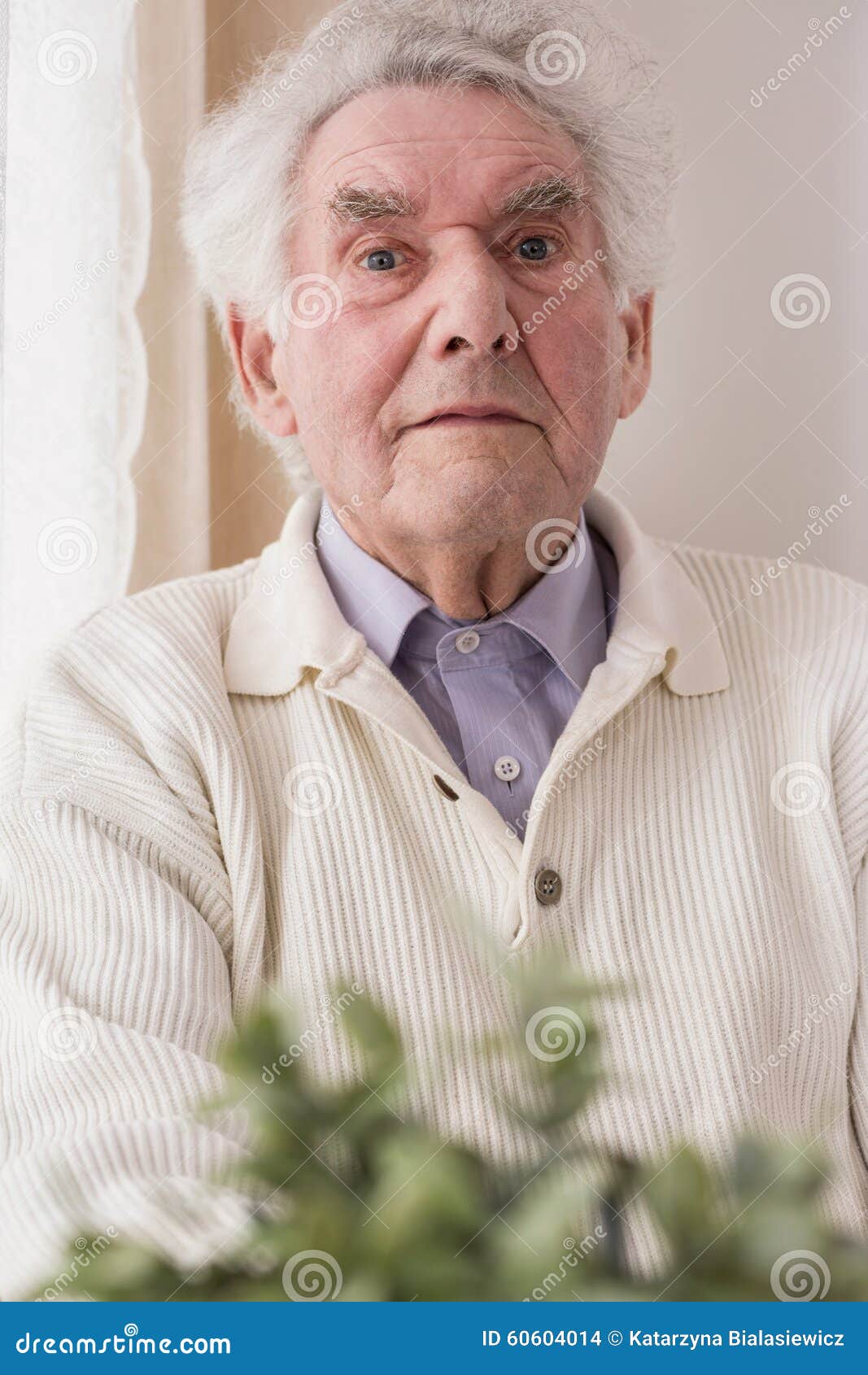 Content elderly man stock photo. Image of person, portrait - 60604014