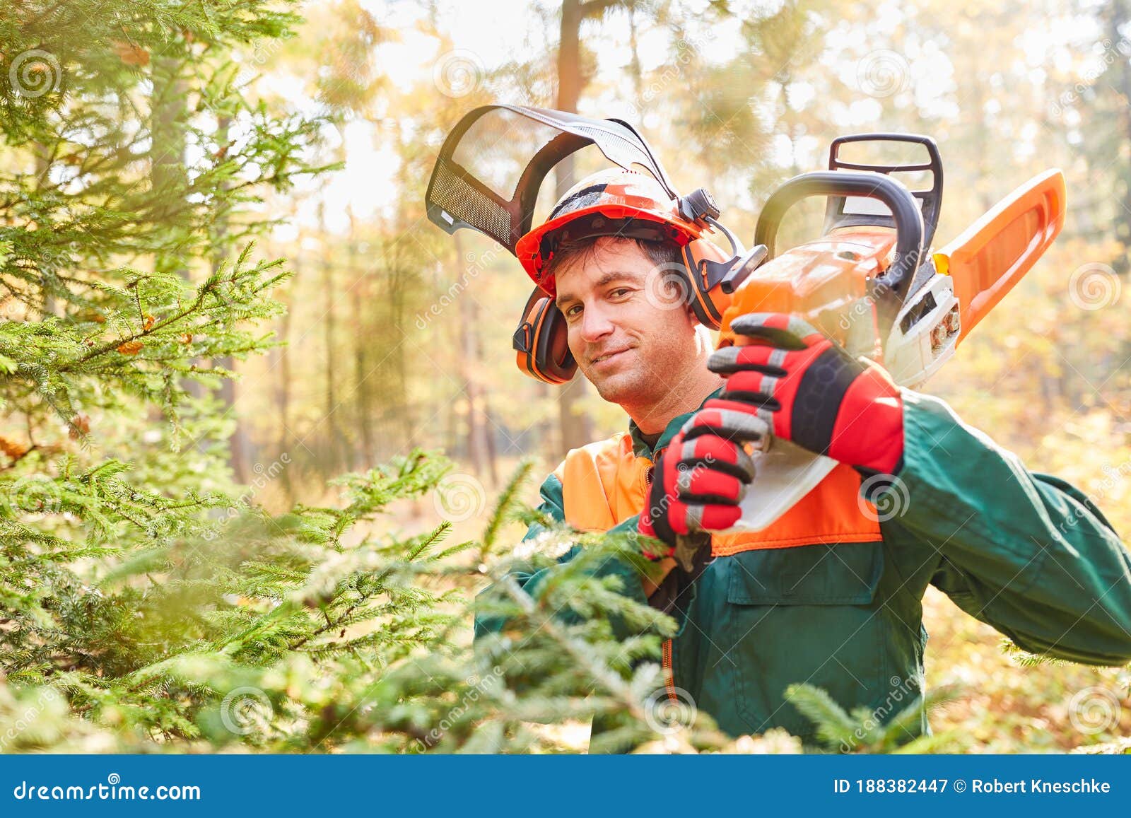 Content Forest Worker with Chainsaw in the Forest Stock Image - Image ...
