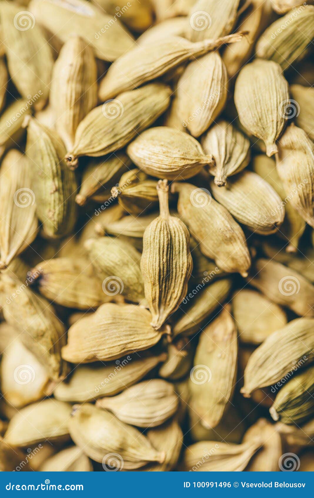 Contexto Verde De Las Vainas Del Cardamomo Foto de archivo - Imagen de ...