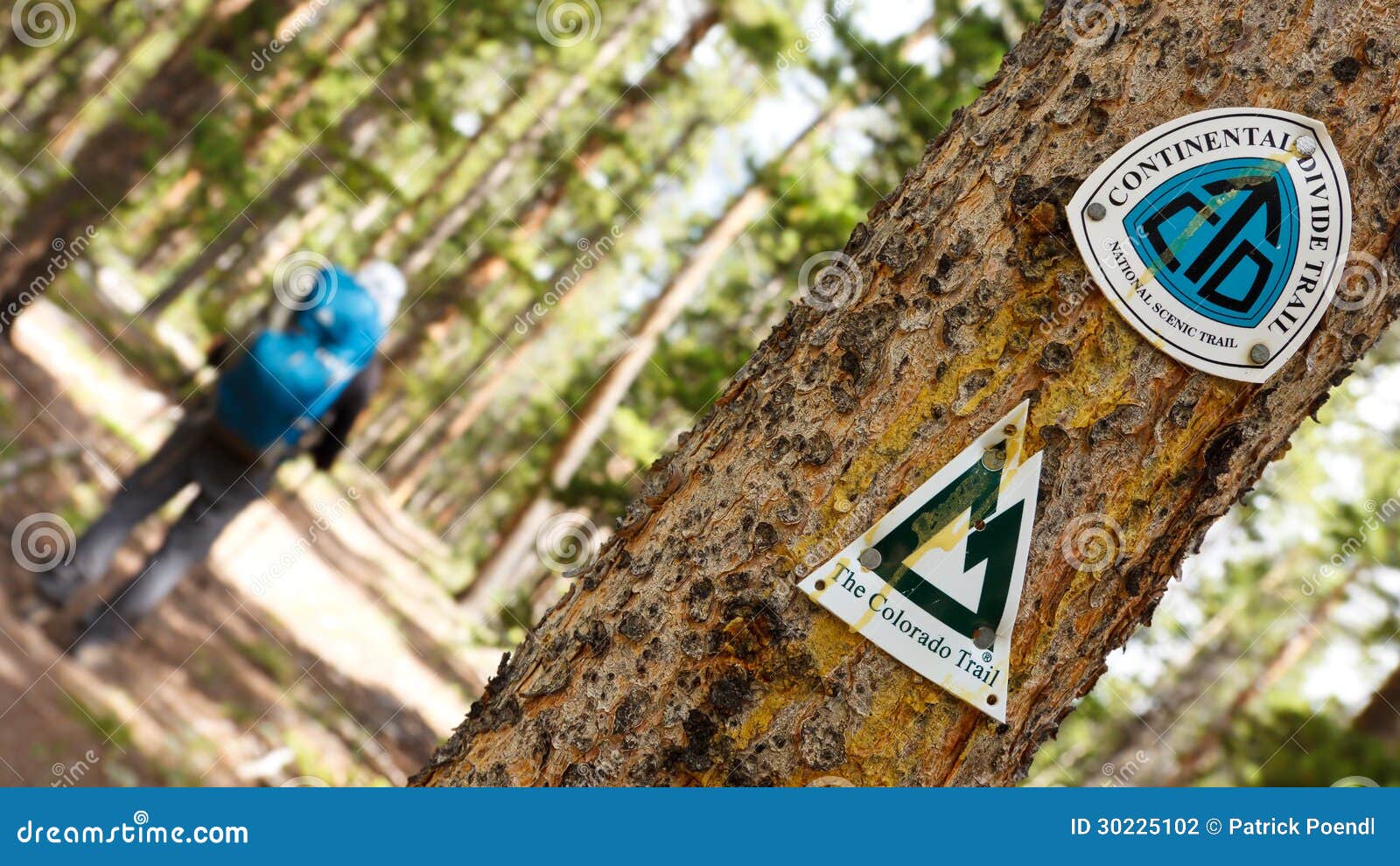 Continental Divide Trail and Colorado Trail Signs Editorial Photography ...