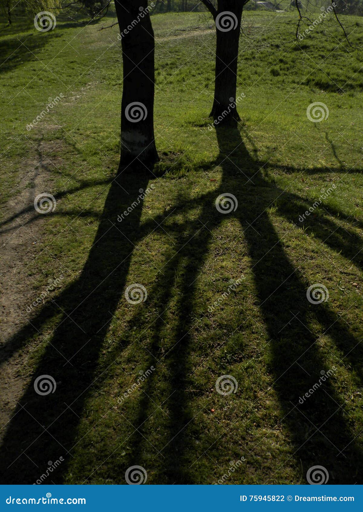 Continuity stock photo. Image of grass, shadow, green - 75945822