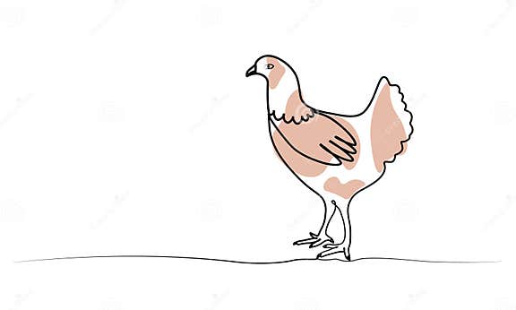 Continuous Drawing of a Chicken with One Line. Illustration Stock ...