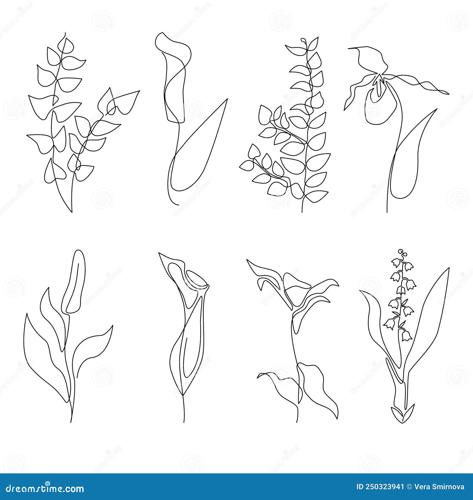 Continuous Line Abstract Flowers And Leaves Set. Black Sketch Of Lily ... Continuous Line Abstract Flowers And Leaves Set. Black Sketch Of Lily ...