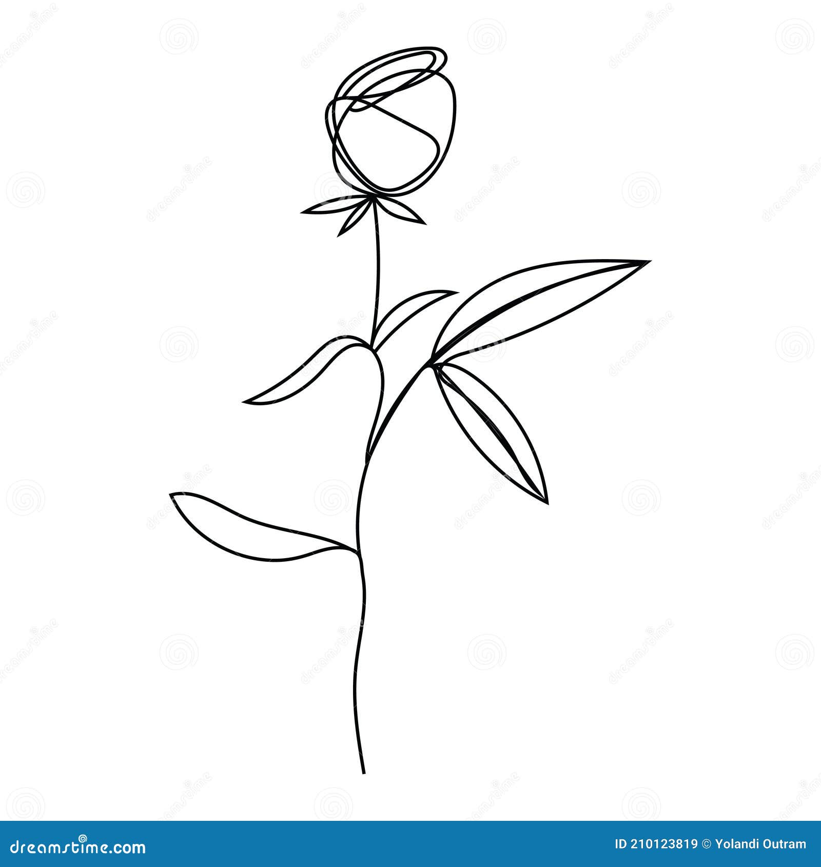 Continuous Line Art Contour Rose, Flower, Vector Stock Vector ...