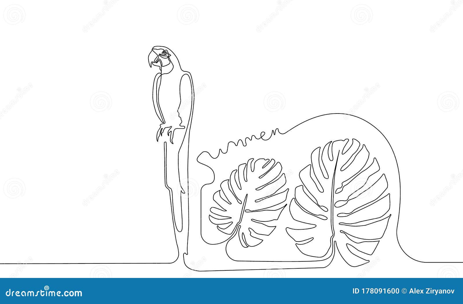 Continuous Line Drawing of Ara Parrot Vector Illustration Stock Vector ...