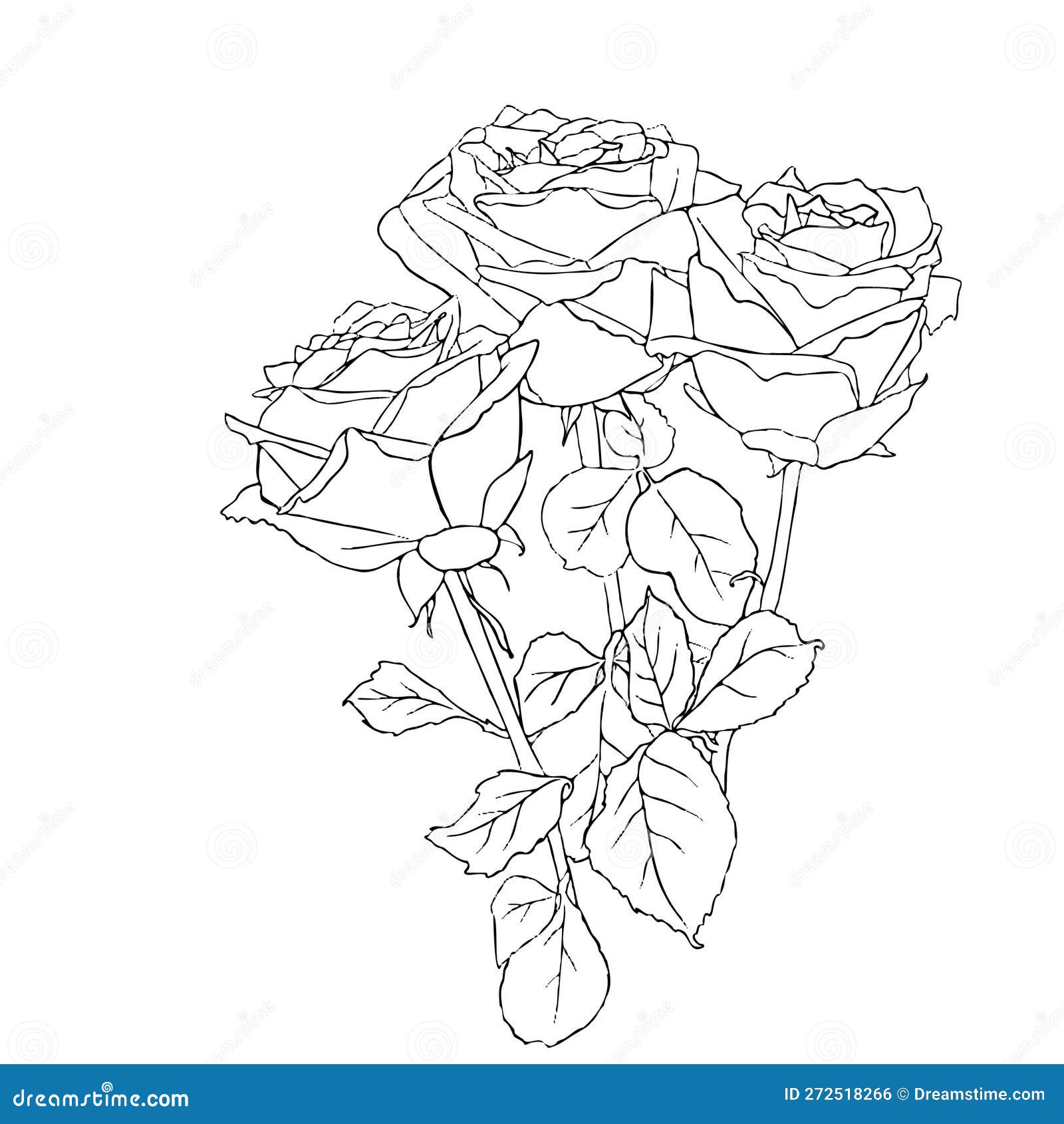 Continuous Line Drawing. Line Art Bouquet of Roses Stock Vector ...