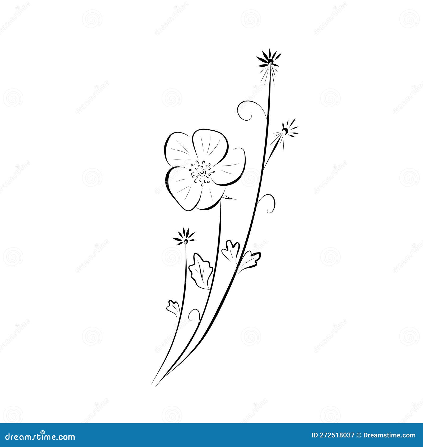 Continuous Line Drawing. Line Art Flowers Vector Minimalistic Stock ...