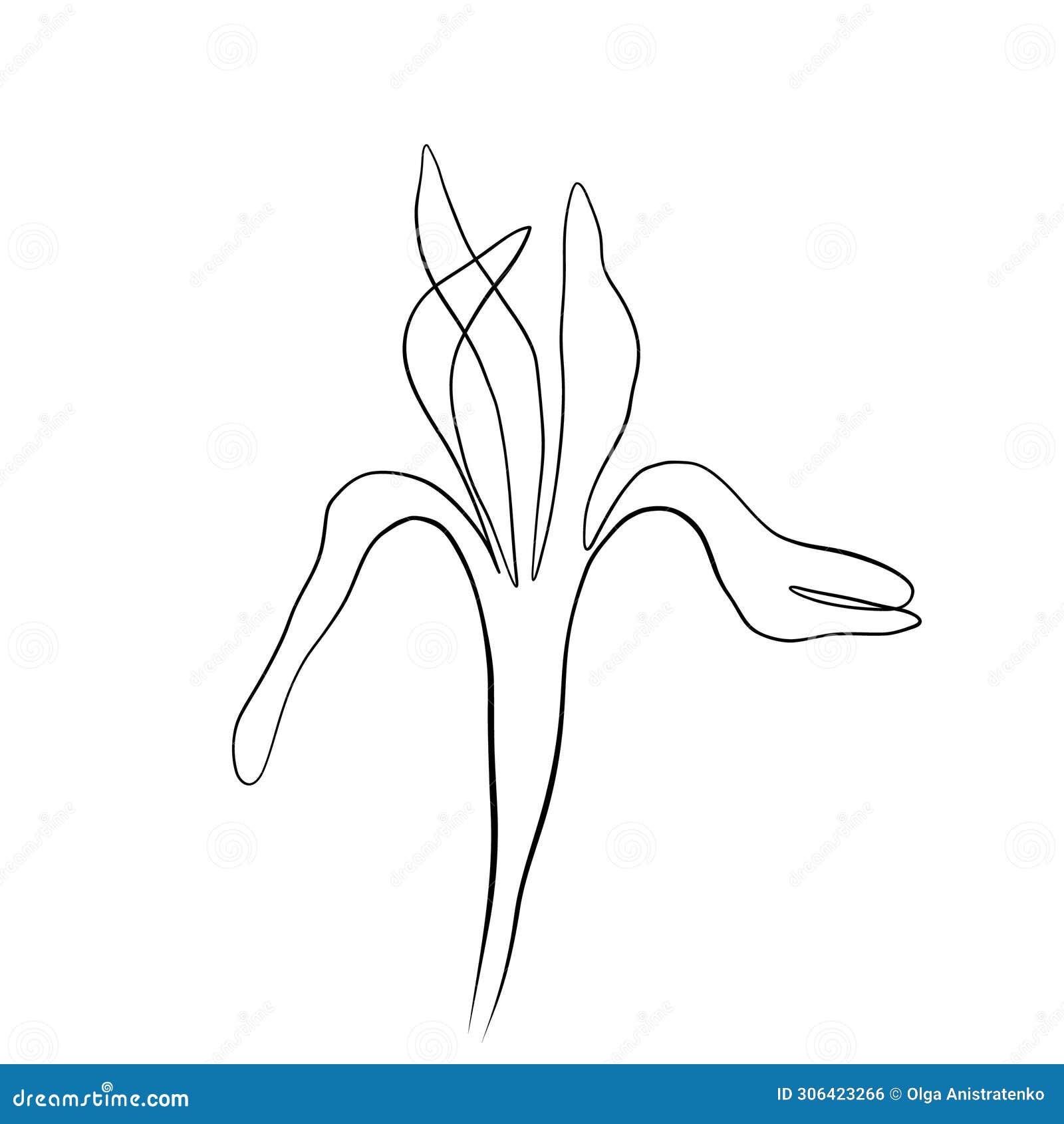 Continuous Line Drawing. Line Art of Iris Flower Continuous Line ...