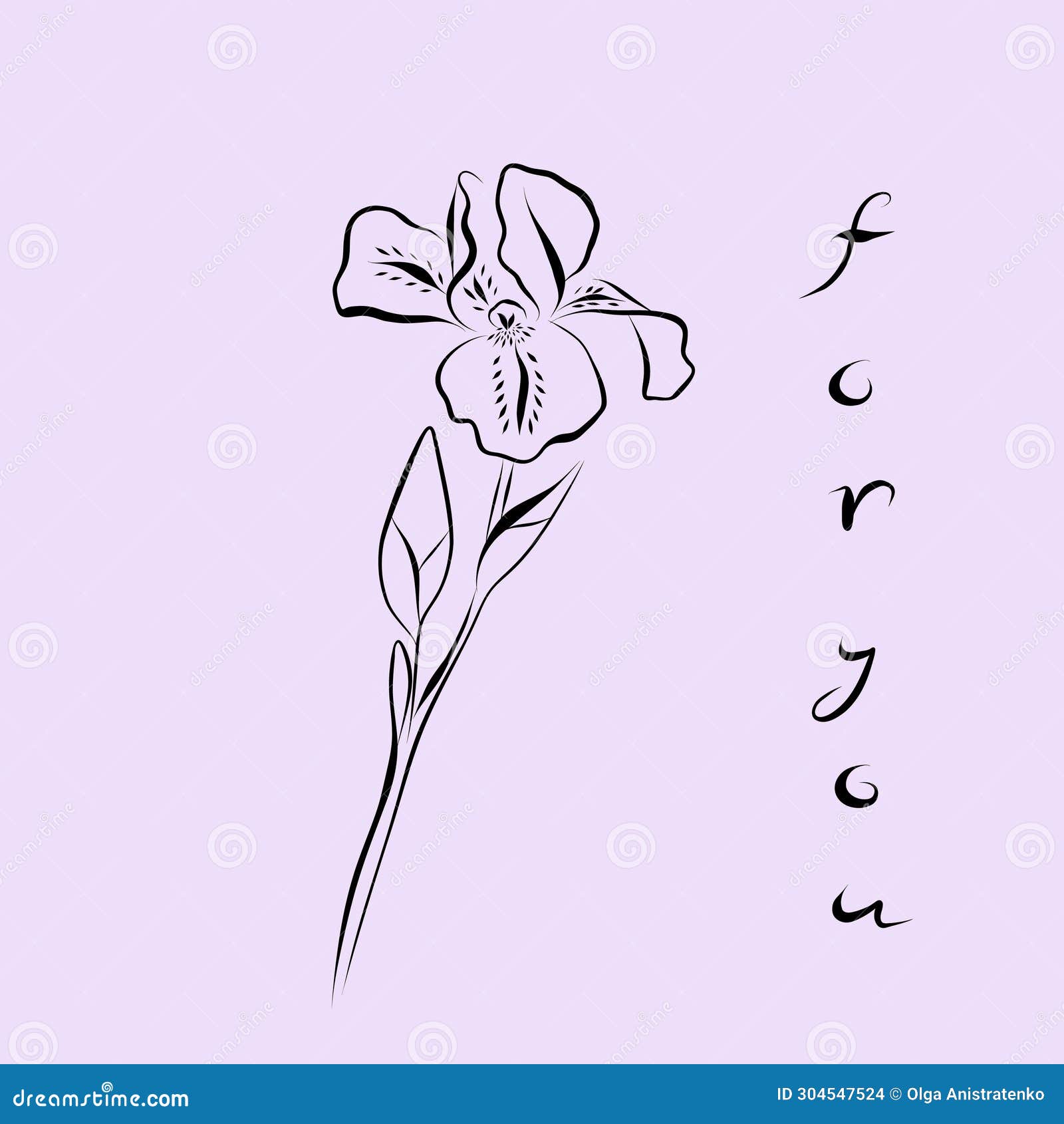 Continuous Line Drawing. Line Art Iris Continuous Line Drawing Stock ...