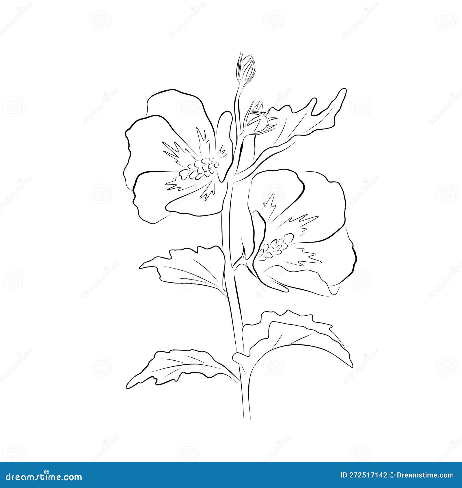 Continuous Line Drawing. Line Art Mallow Vector Minimalistic Stock ...