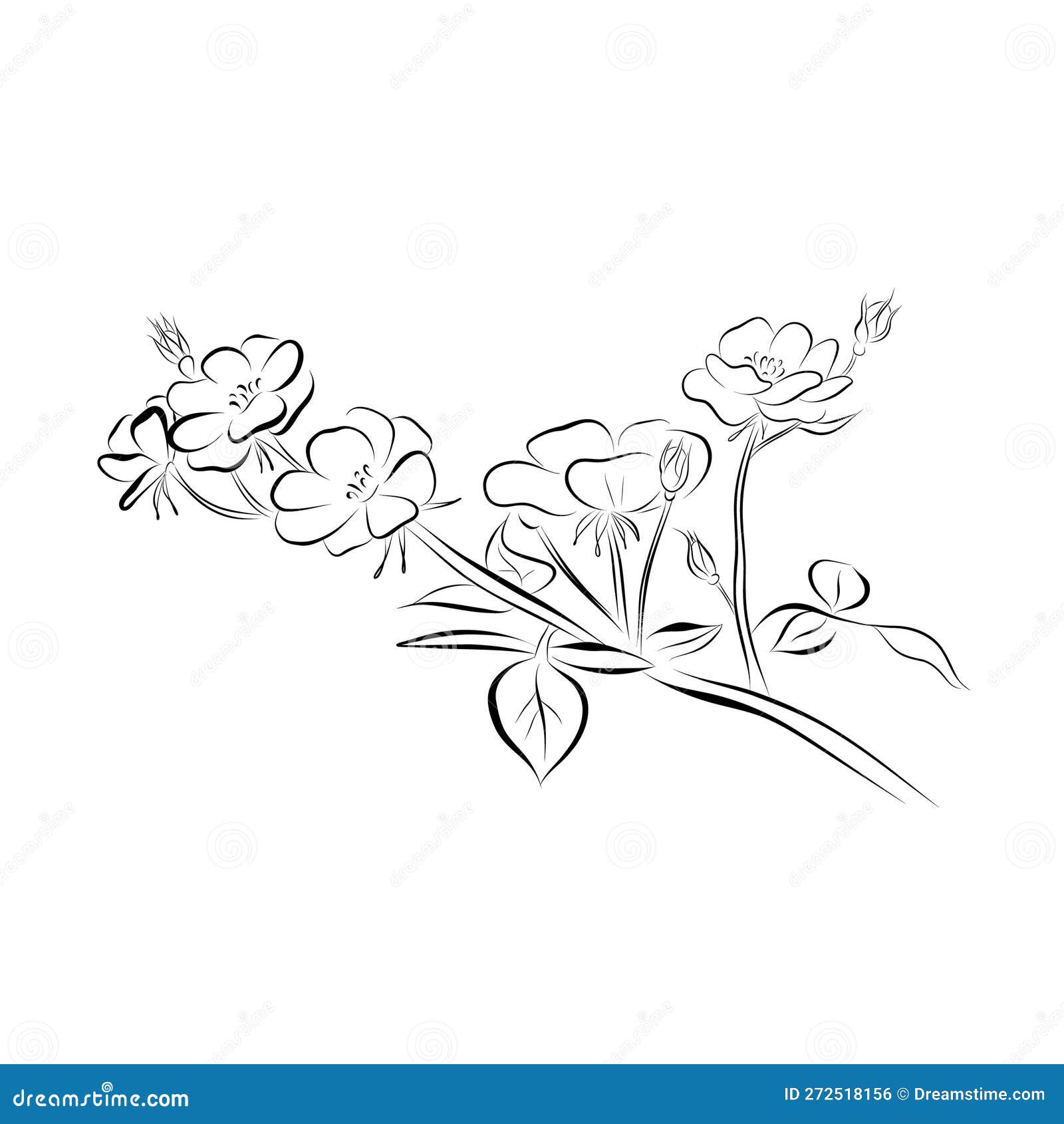 Continuous Line Drawing. Line Art Rose Branch Vector Minimalistic Stock ...