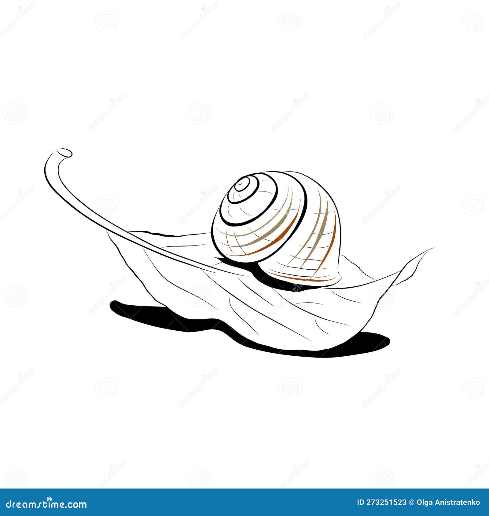 Continuous Line Drawing. Line Art Snail on a Leaf Vector Stock Vector ...