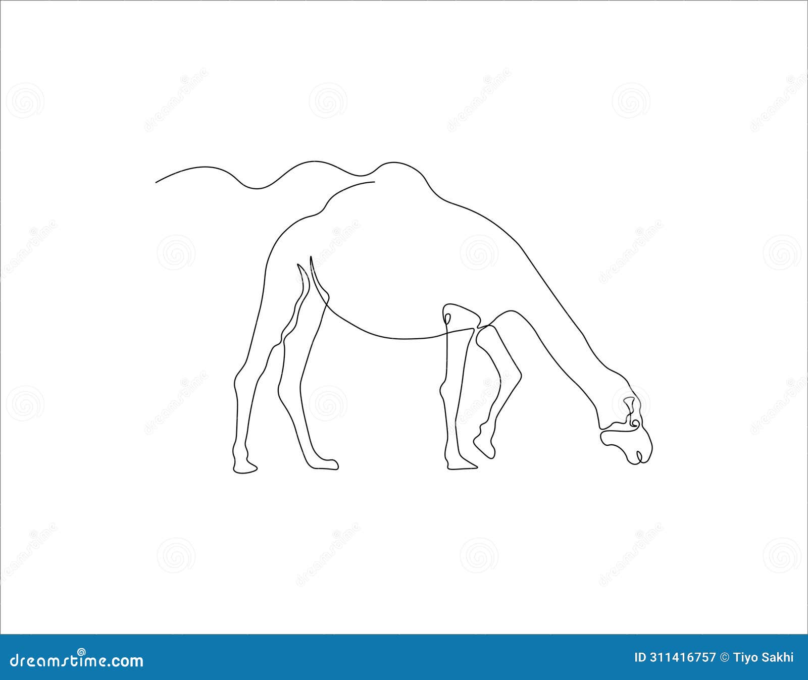 Continuous Line Drawing of Camel. One Line of Arabian Camel. Camel in ...