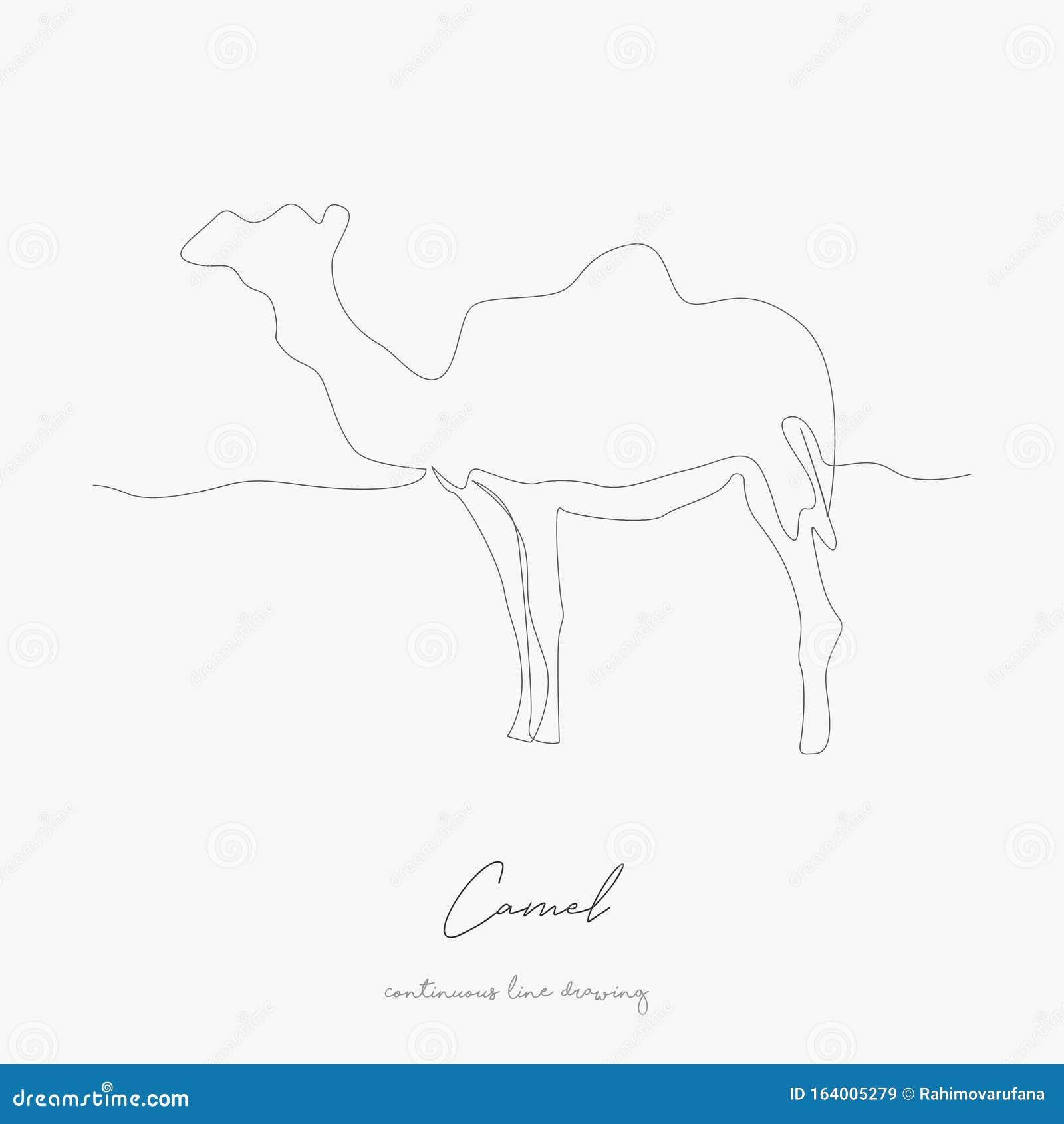 Continuous Line Drawing. Camel. Simple Vector Illustration. Camel ...