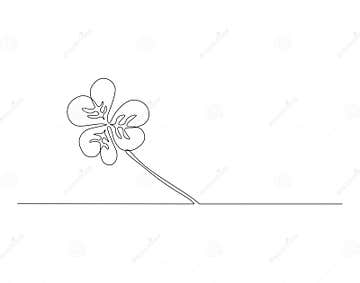 Continuous Line Drawing of Cloverleaf. One Line of Cloverleaf. Leaf ...