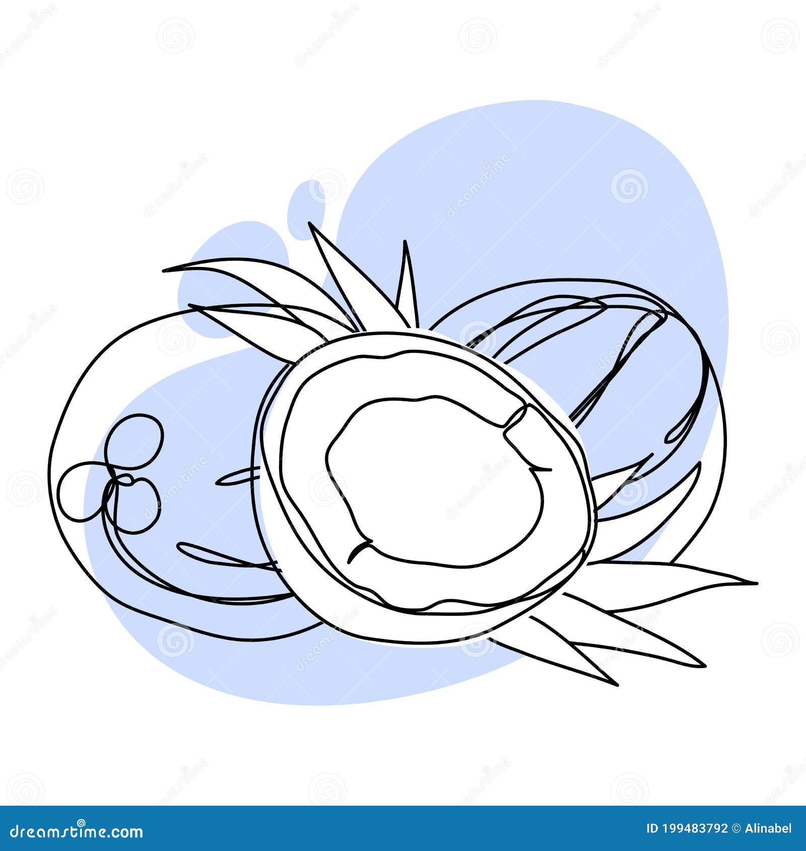 Continuous Line Drawing of Coconut Stock Vector - Illustration of ...