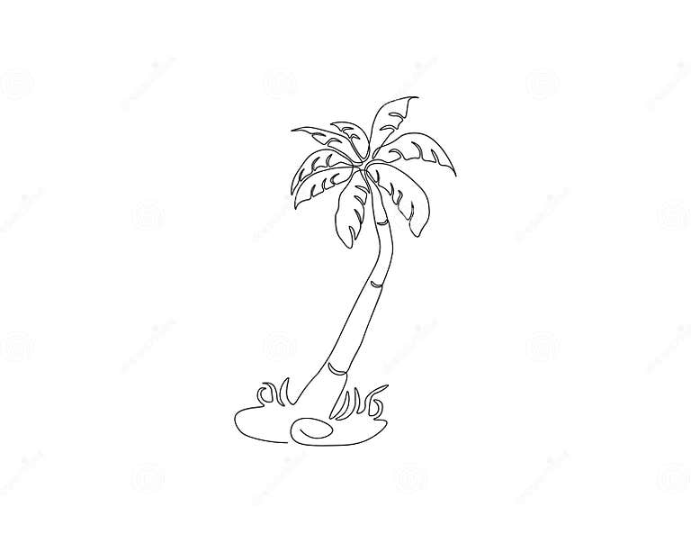 Continuous Line Drawing of Coconut Tree. One Line of Coconut Tree ...
