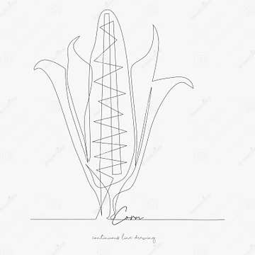 Continuous Line Drawing. Corn. Simple Vector Illustration. Corn Concept ...