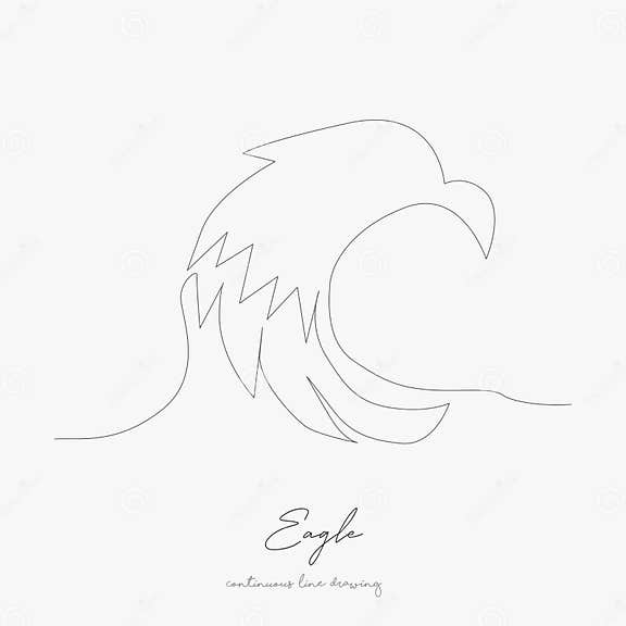 Continuous Line Drawing. Eagle. Simple Vector Illustration. Eagle ...
