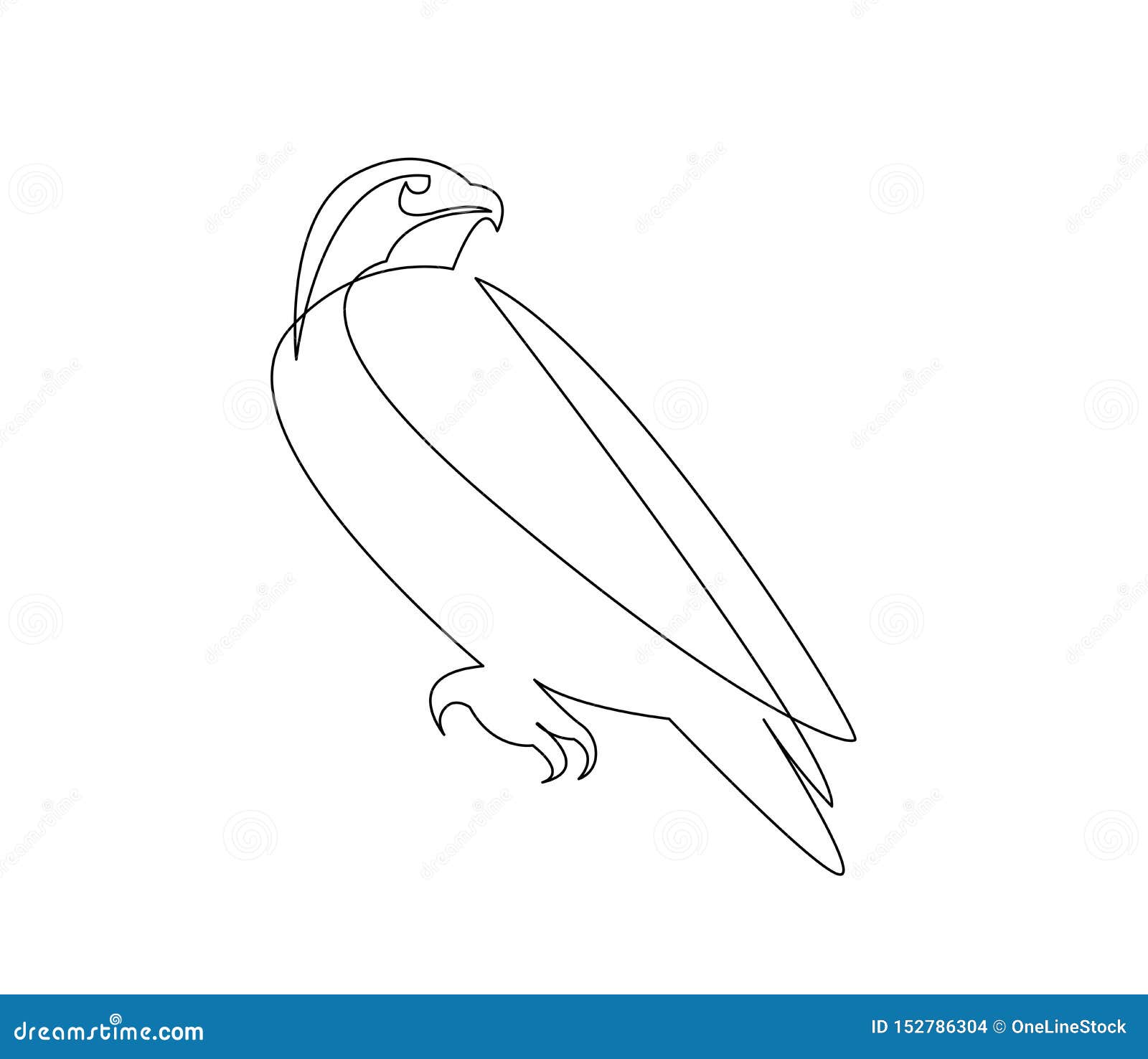 Continuous Line Drawing of Falcon Bird Stock Vector - Illustration of ...
