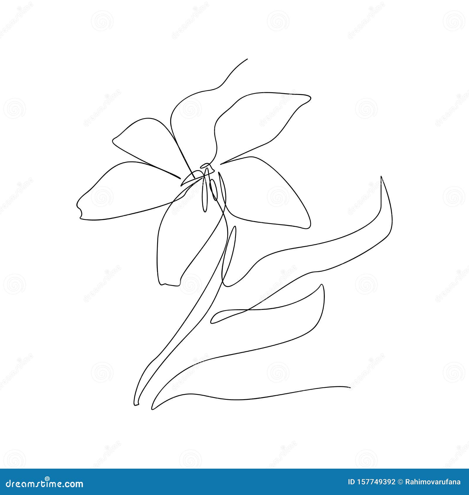 Continuous Line Drawing of Flower. Isolated Sketch Drawing of Flower ...