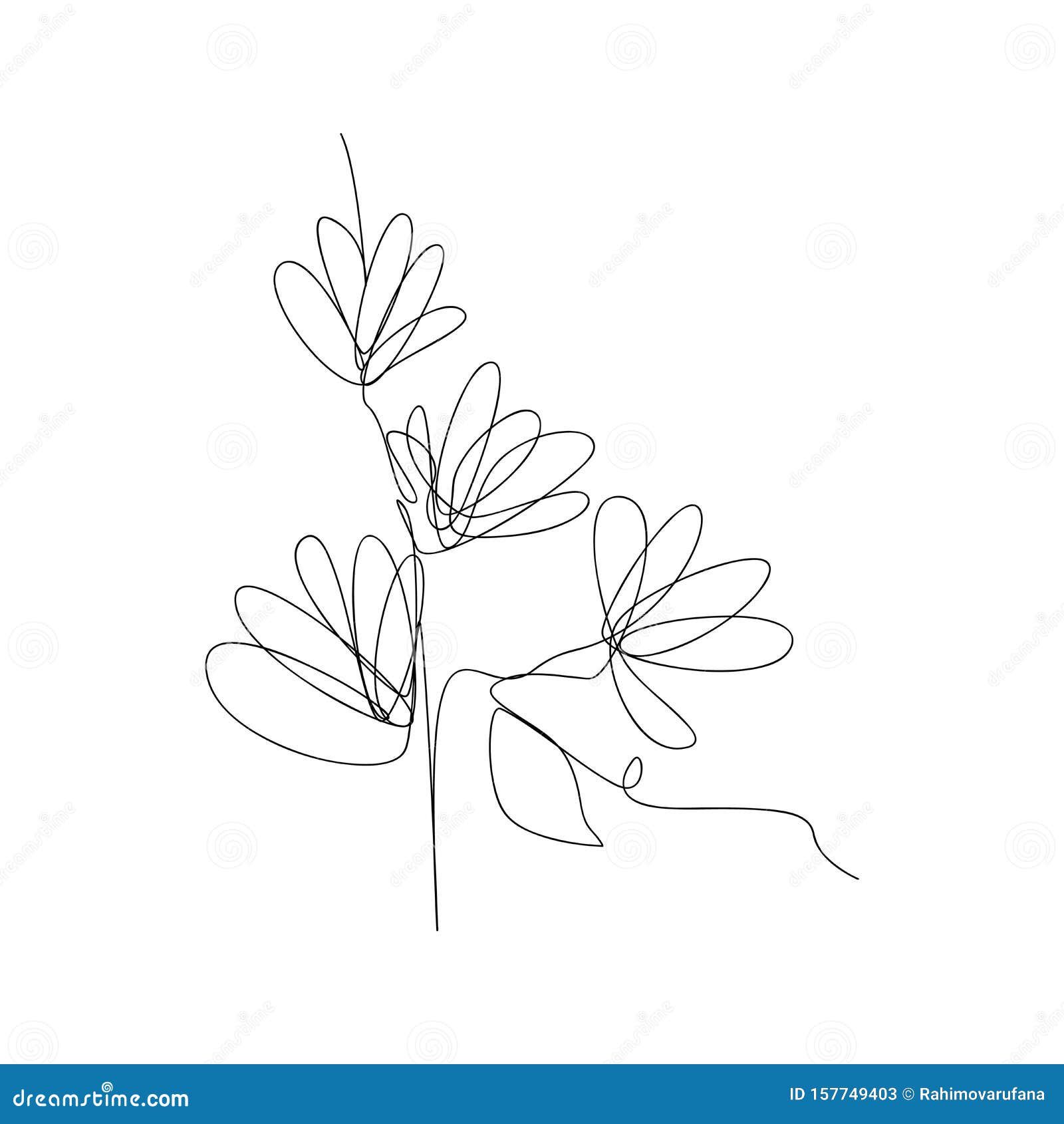 Continuous Line Drawing of Flower Petals. Isolated Sketch Drawing of ...