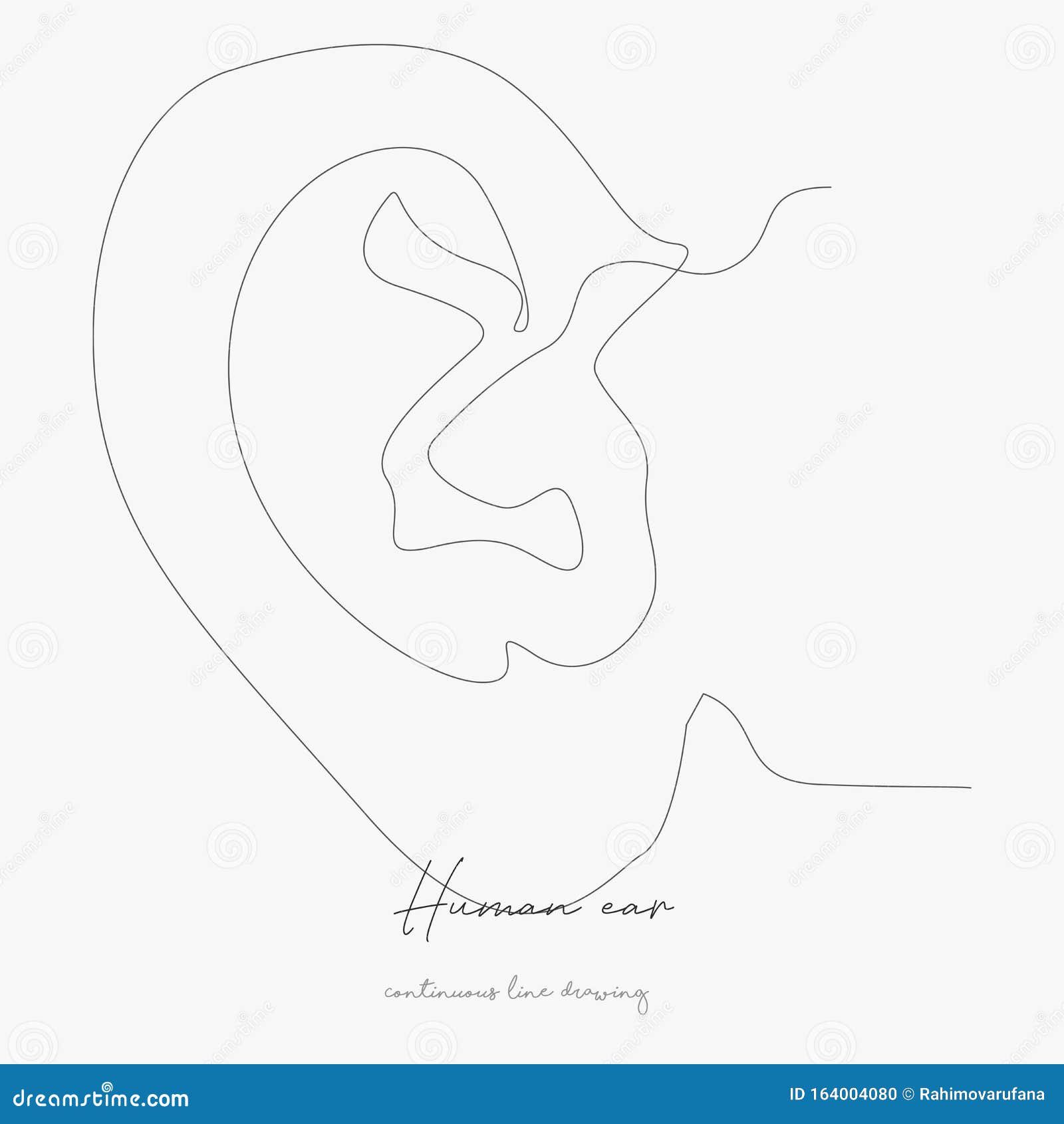 Continuous Line Drawing. Human Ear. Simple Vector Illustration. Human ...