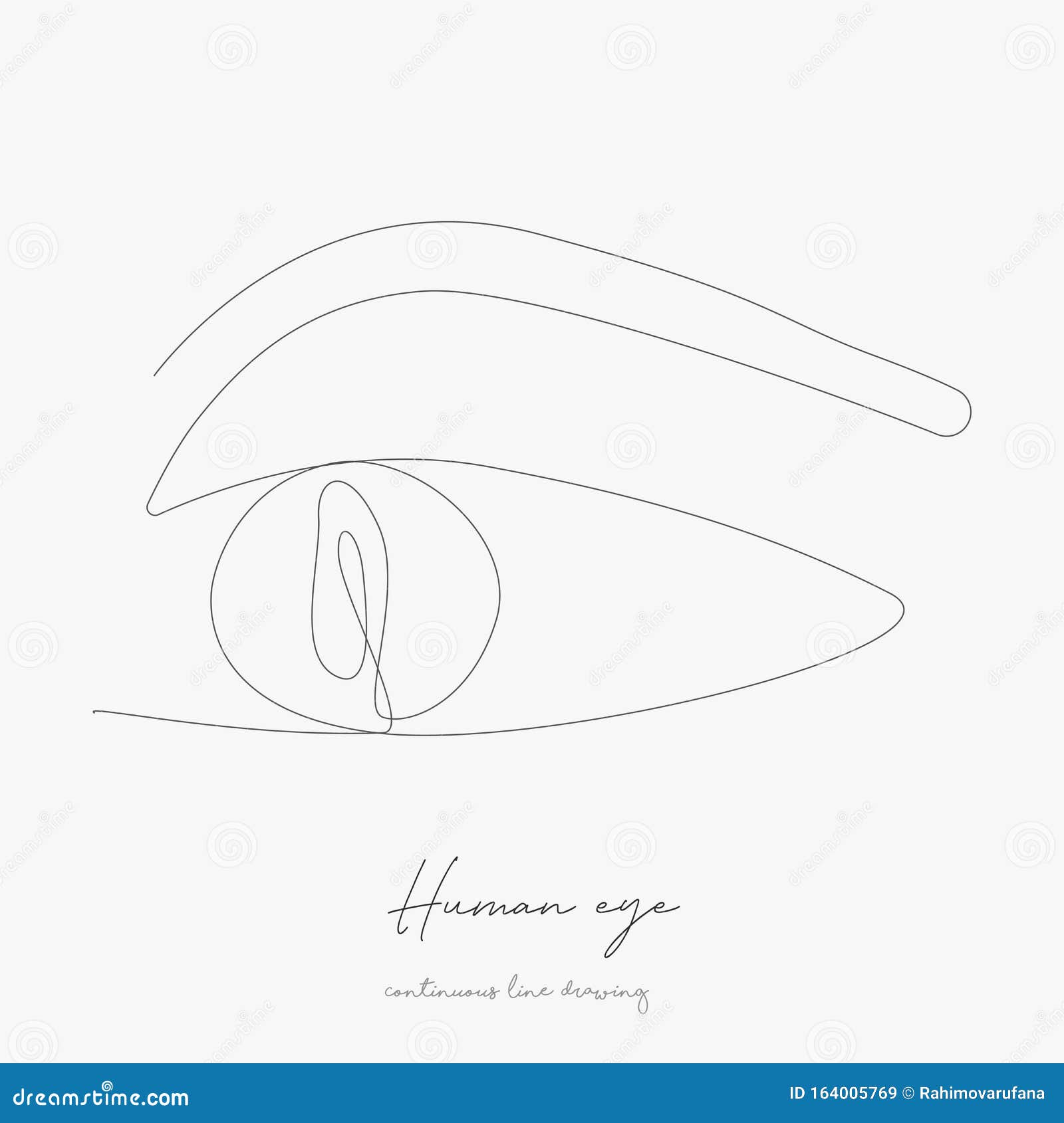 Continuous Line Drawing. Human Eye. Simple Vector Illustration. Human ...