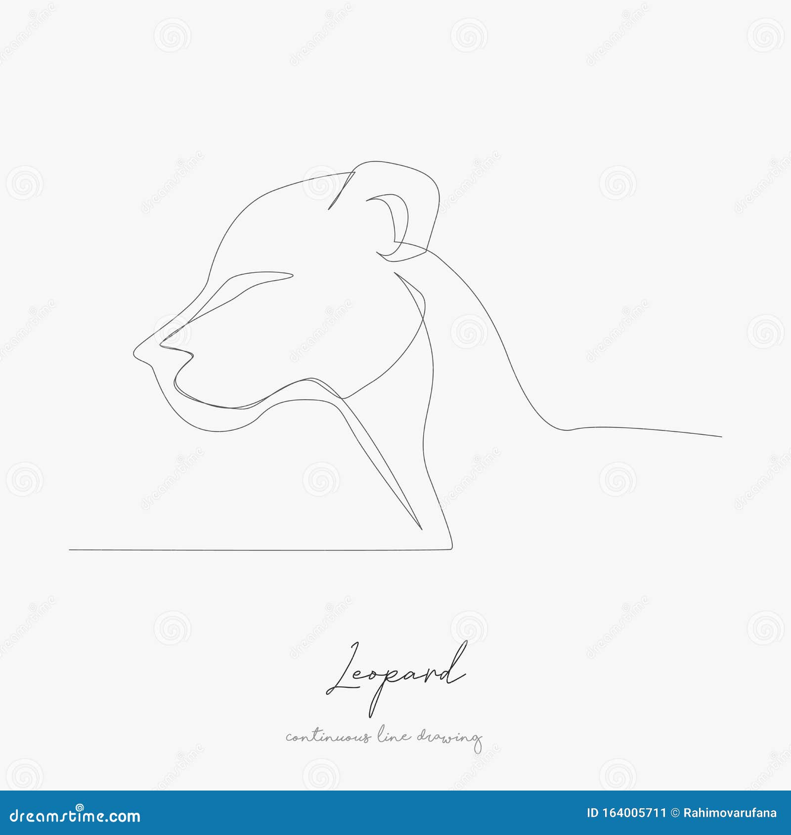 Continuous Line Drawing. Leopard. Simple Vector Illustration. Leopard ...