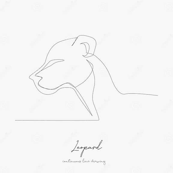 Continuous Line Drawing. Leopard. Simple Vector Illustration. Leopard ...