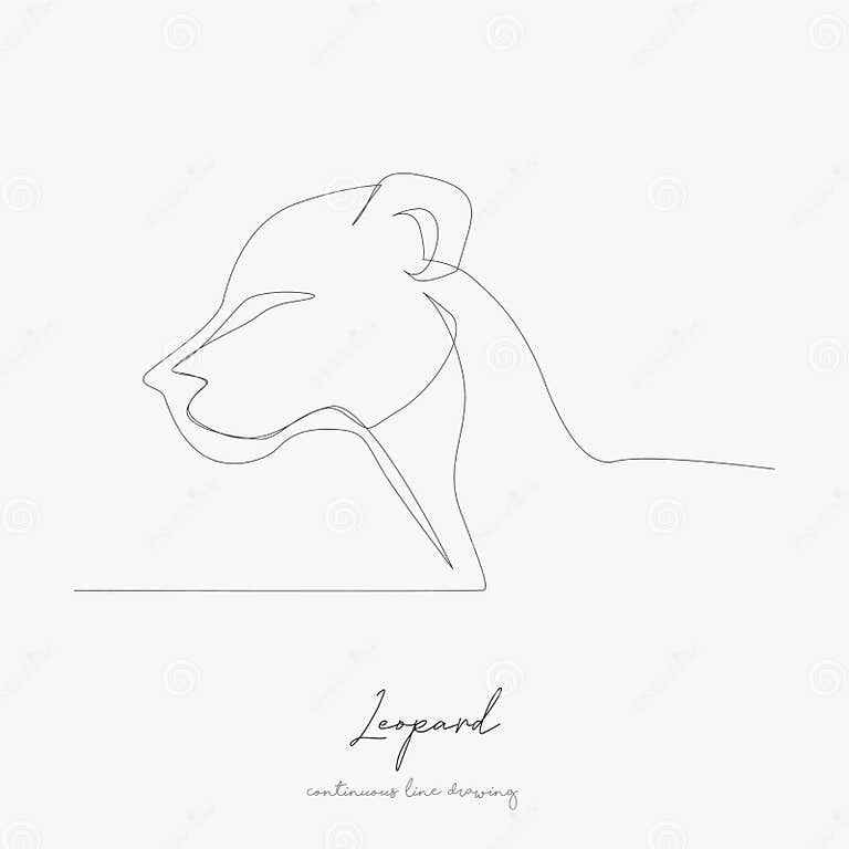 Continuous Line Drawing. Leopard. Simple Vector Illustration. Leopard ...