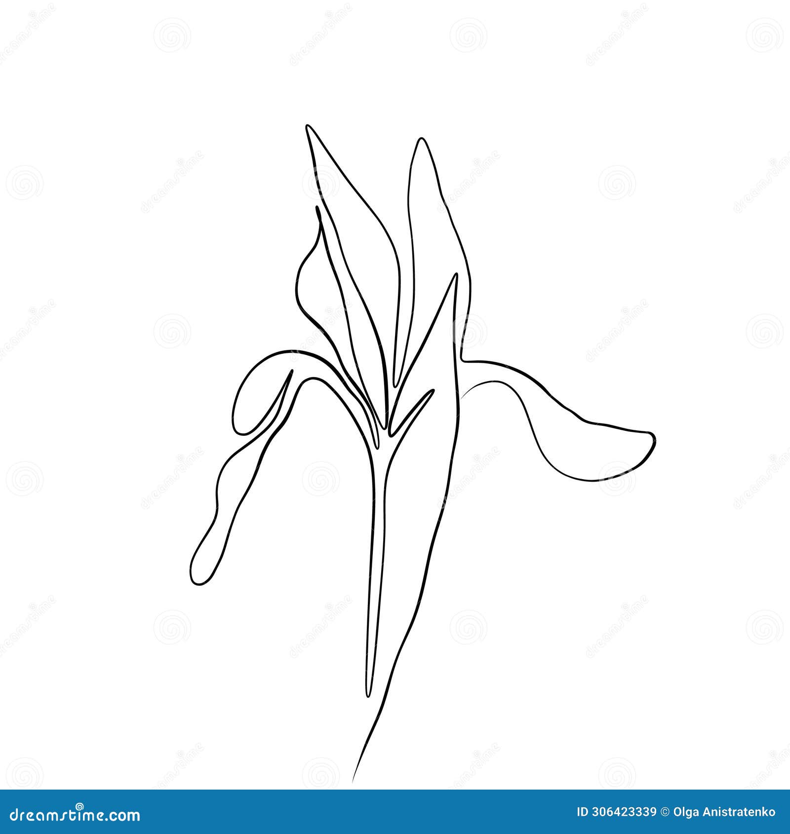 Continuous Line Drawing. Line Art of Iris Flower Continuous Line ...