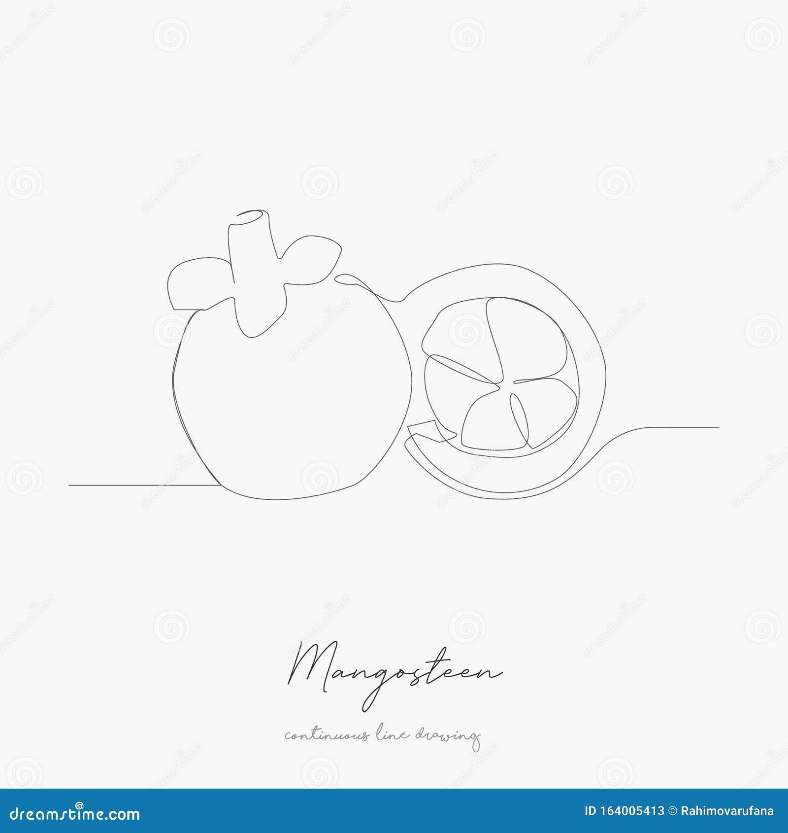 Continuous Line Drawing. Mangosteen. Simple Vector Illustration ...